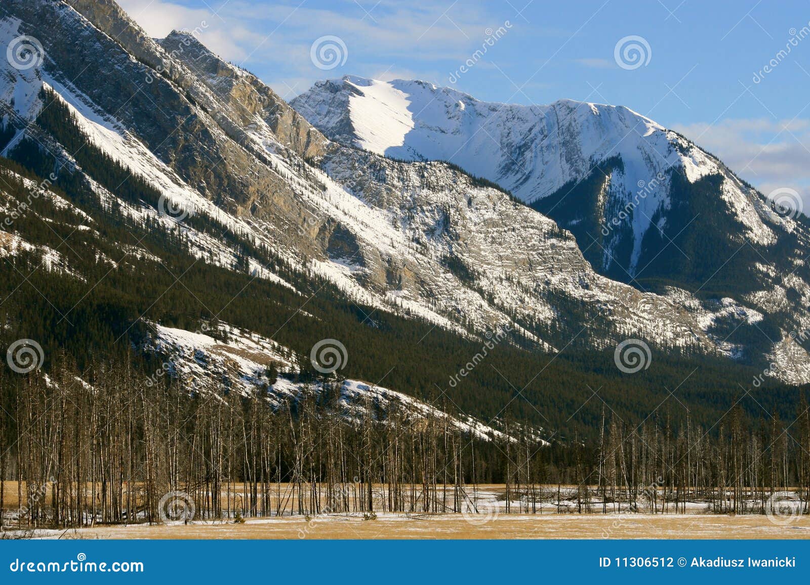 Winter in jasper, canada stock photo. Image of hill, cloud - 11306512
