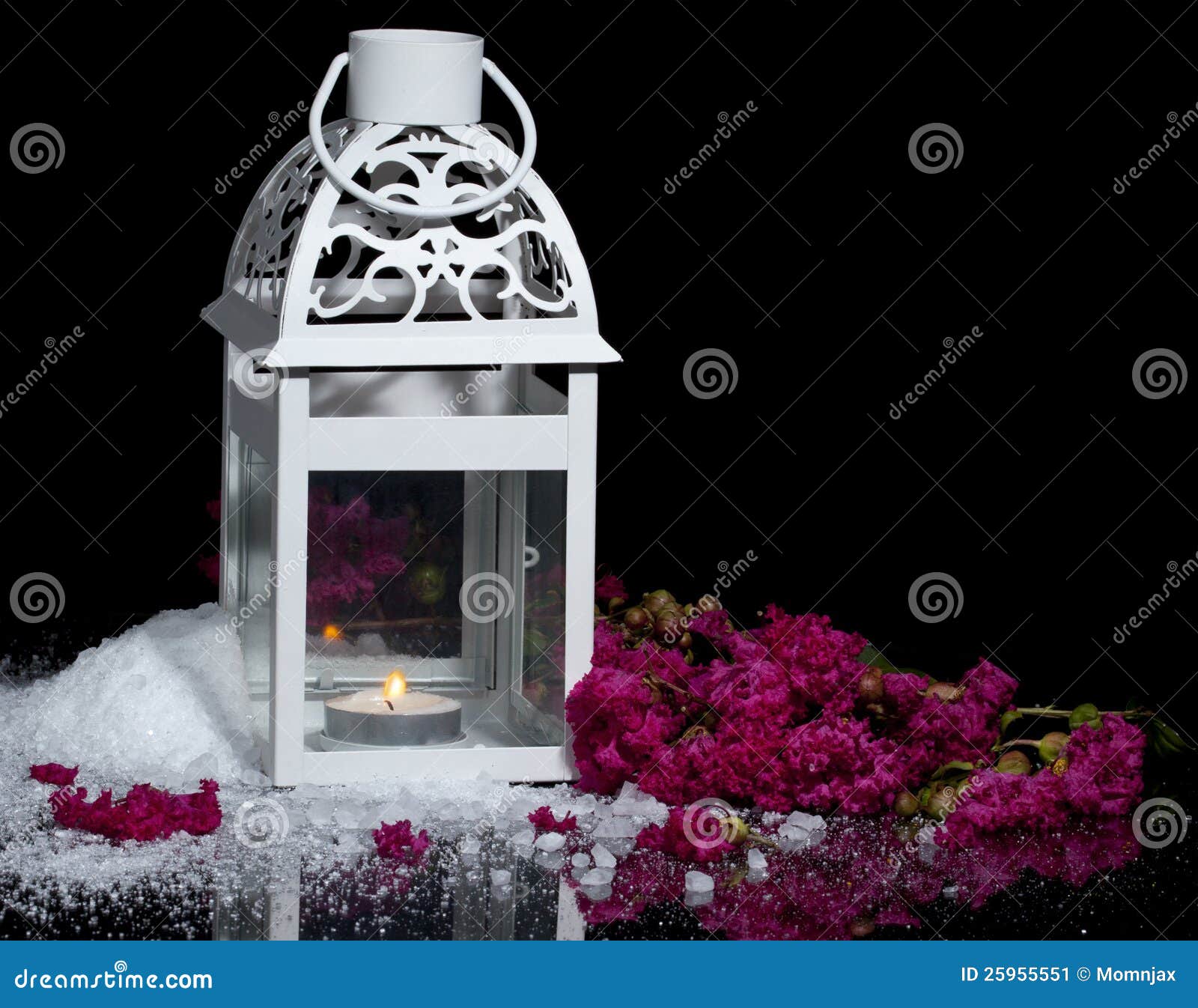 Winter in July stock image. Image of space, copy, sparkling - 25955551