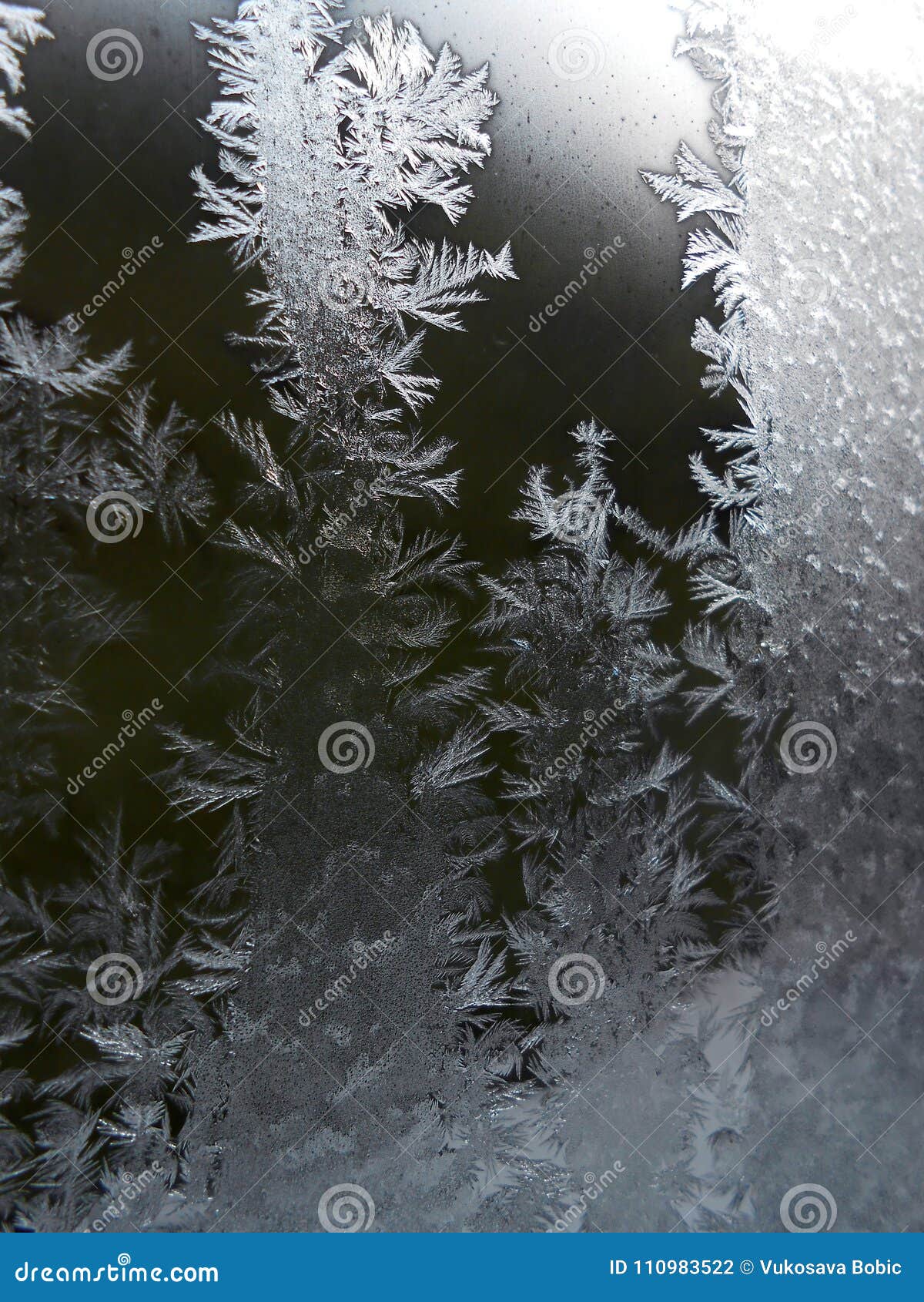 Winter lace stock photo. Image of cold, pale, bright - 110983522