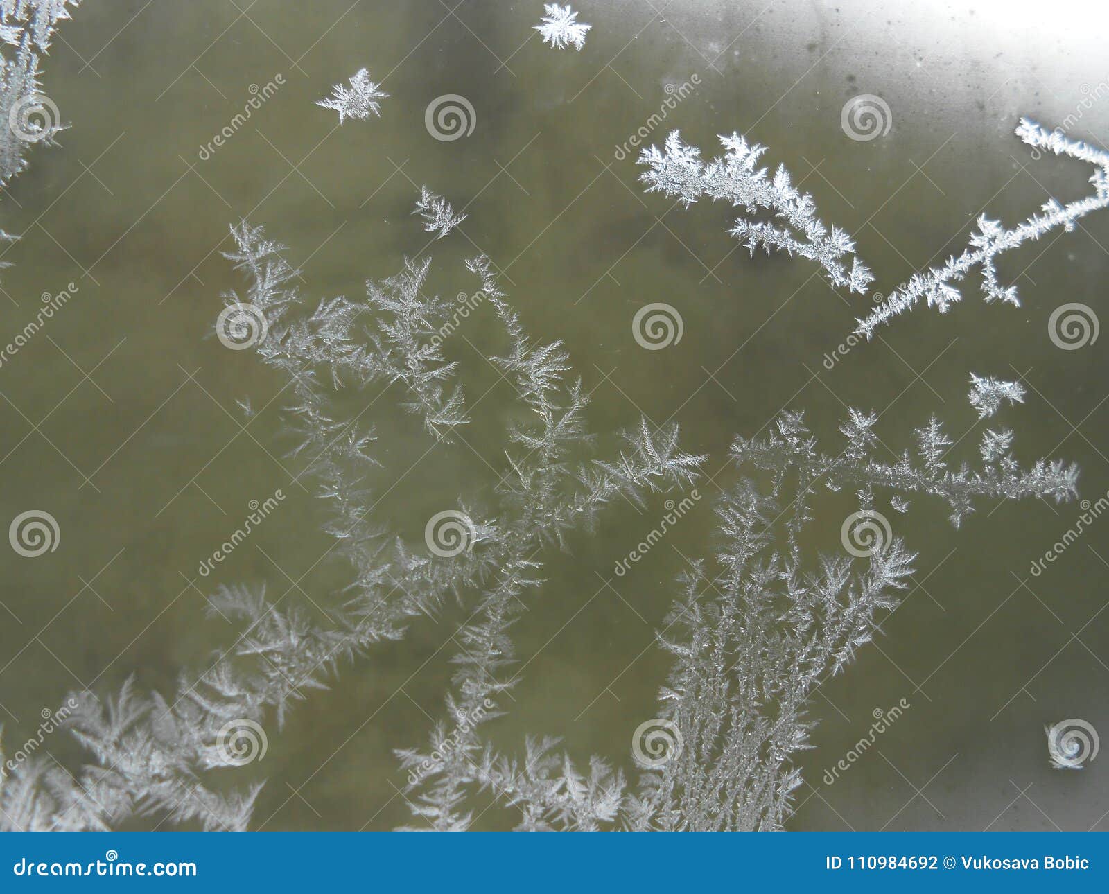 Winter lace stock photo. Image of close, contrast, fresh - 110984692