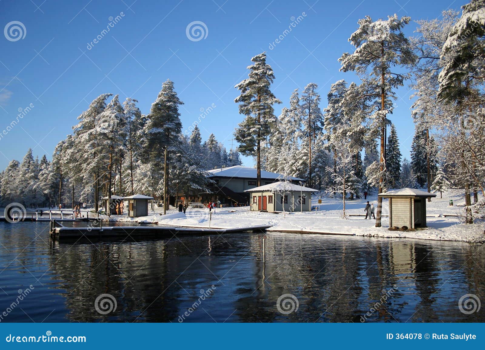 Winter lake stock photo. Image of trees, water, nature - 364078