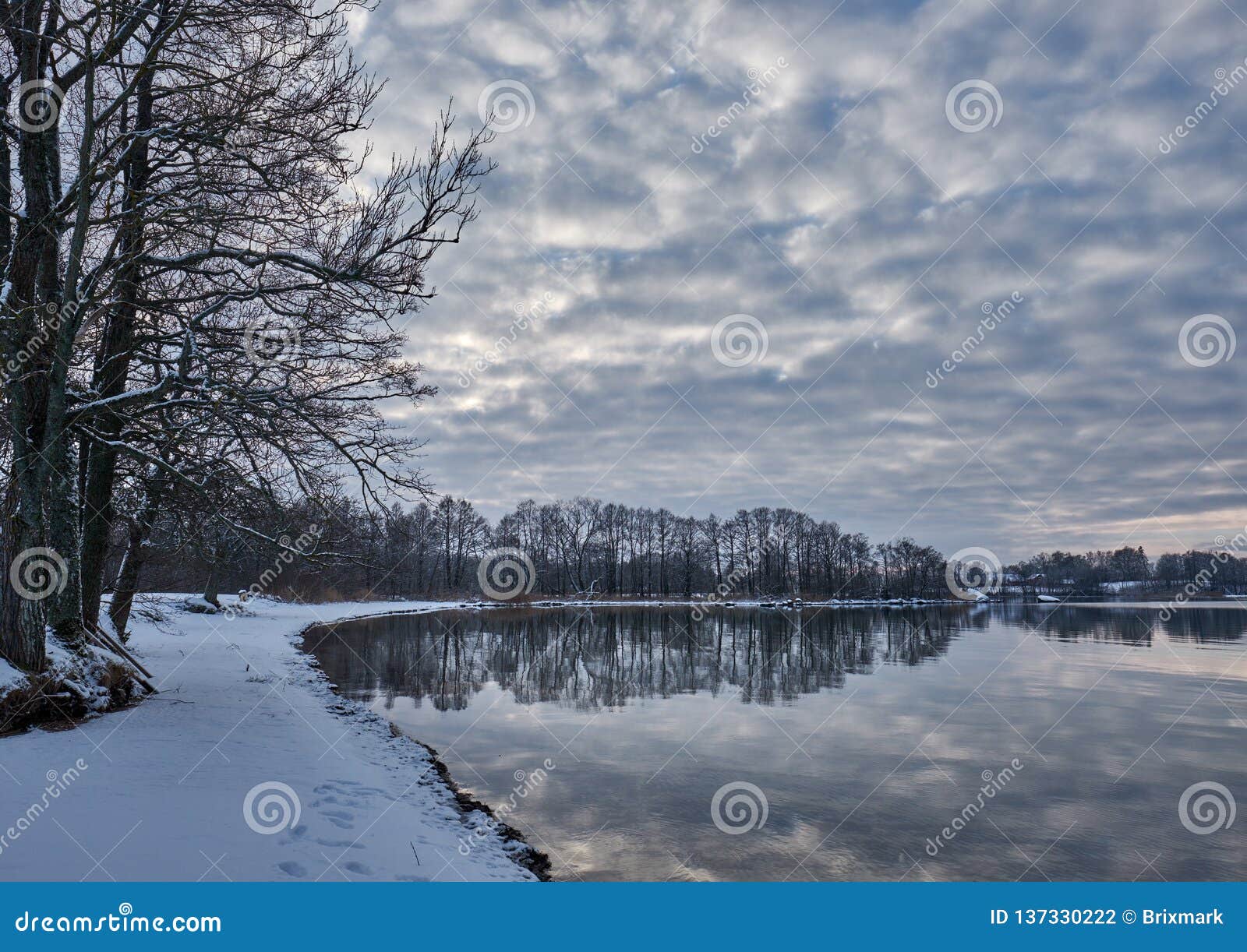 Winter by a lake stock photo. Image of colors, snow - 137330222