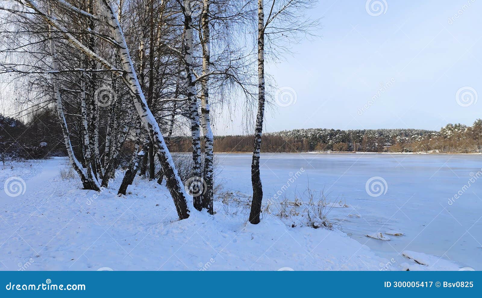 In Winter, the Lake is Covered with Ice. Along the Shore There are ...