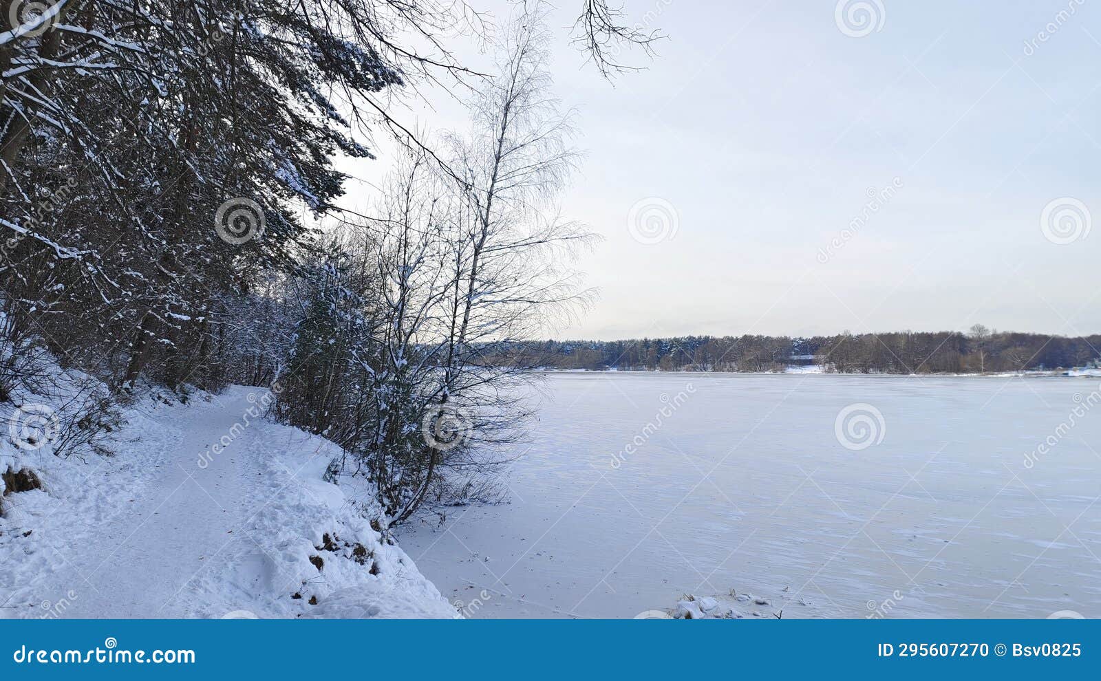 In Winter, the Lake is Covered with Ice. Along the Shore There is a ...