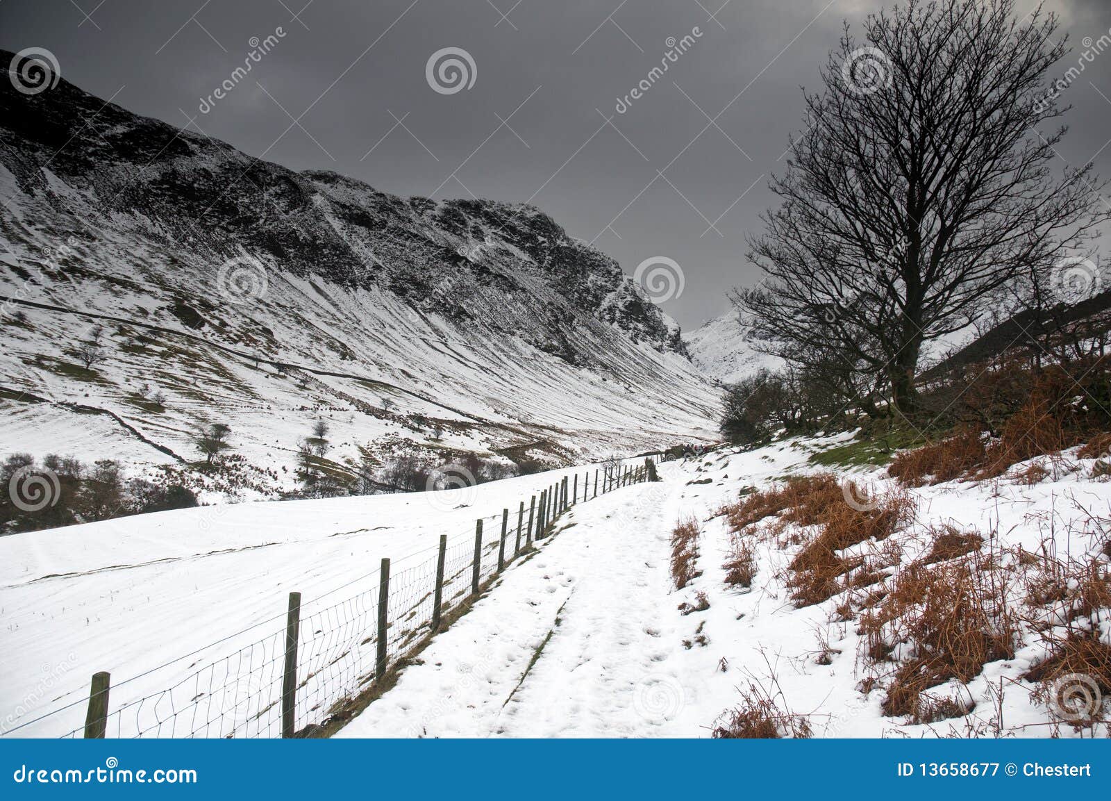 Winter in the Lake District Stock Image - Image of nature, fern: 13658677