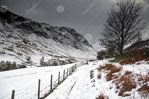 Winter in the Lake District Stock Image - Image of nature, fern: 13658677