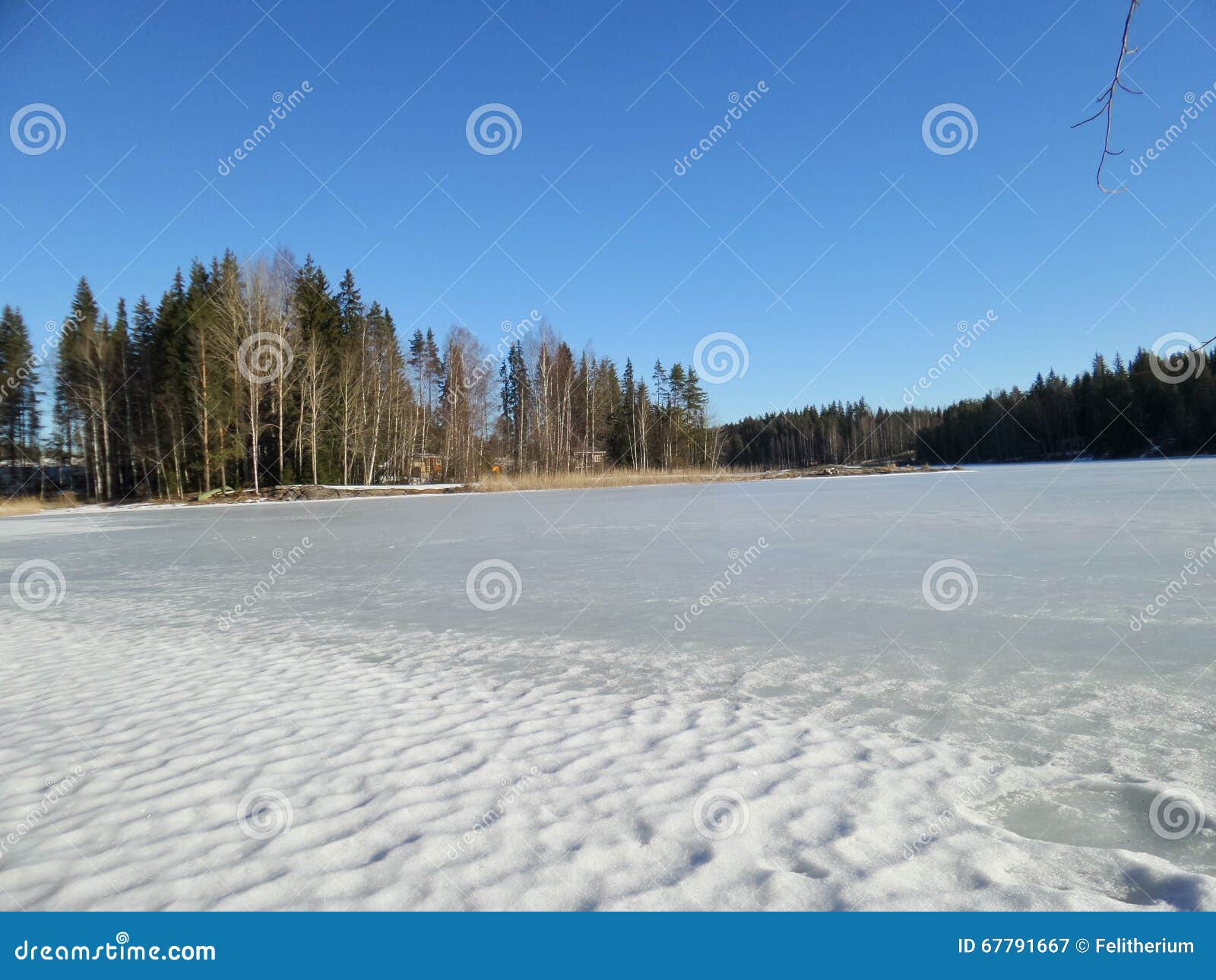 Winter stock image. Image of trees, finland, winter, lake - 67791667