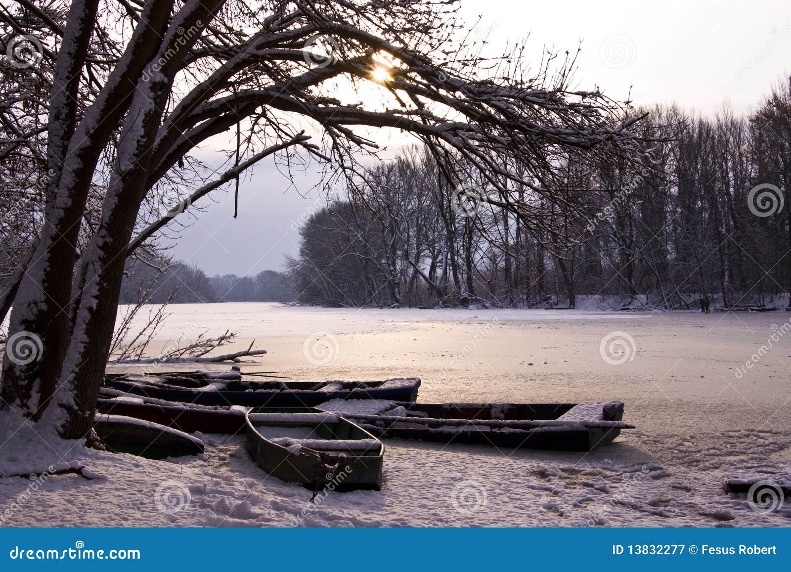 Winter lake landscape stock image. Image of pine, lake - 13832277