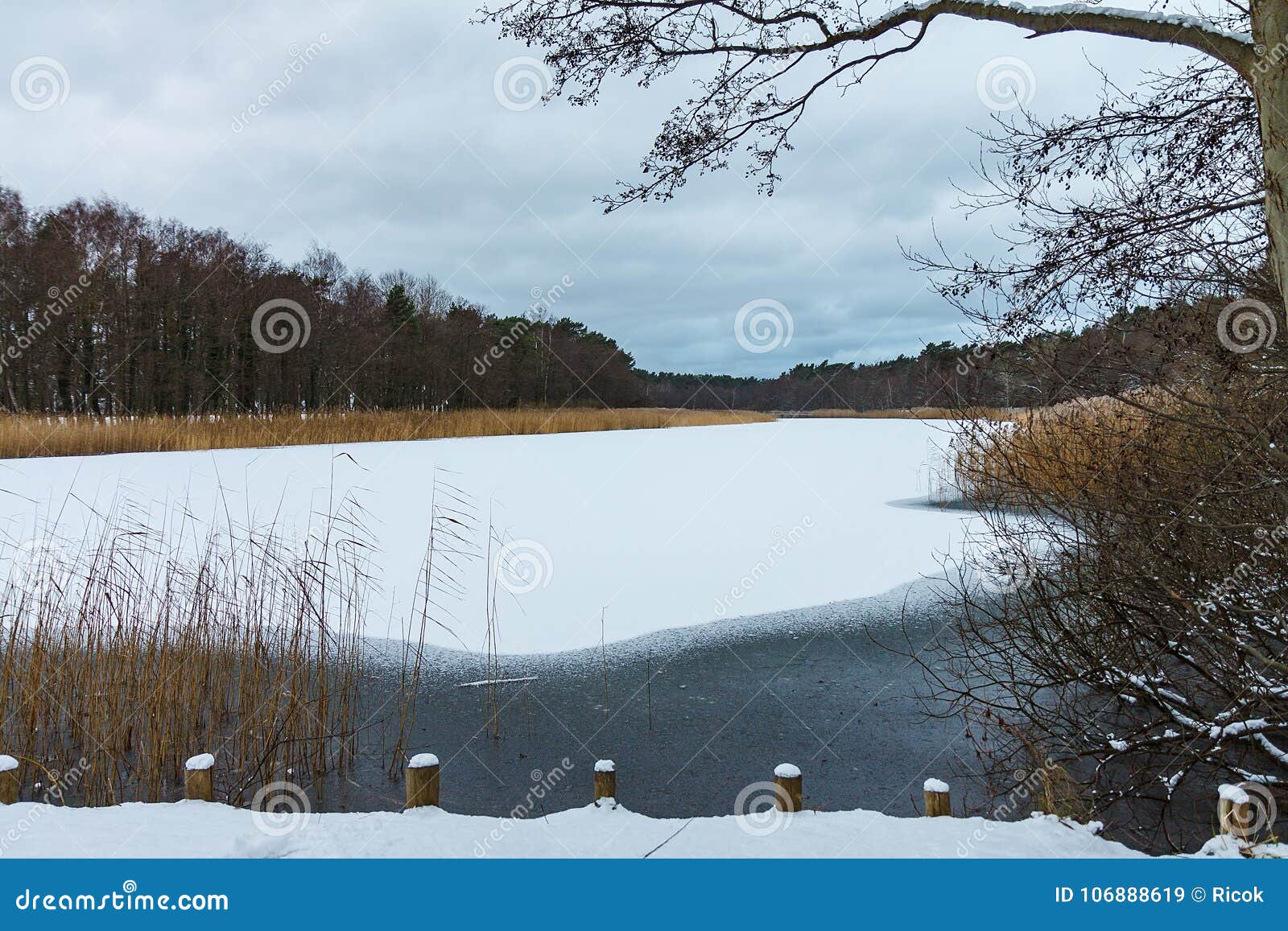 Winter on a Lake in Prerow, Germany Stock Image - Image of recreation ...