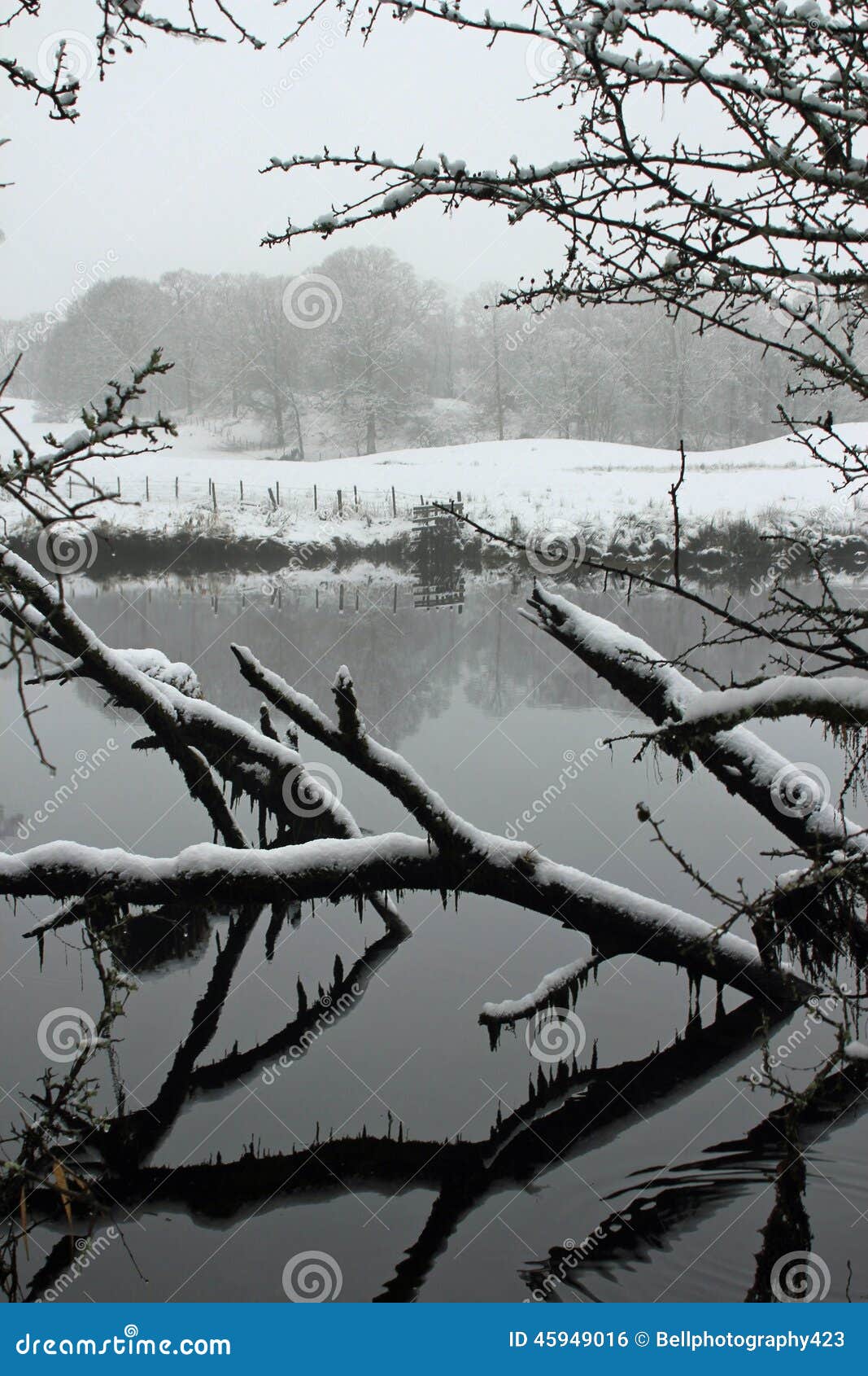 Winter lake reflection stock photo. Image of seasonal - 45949016
