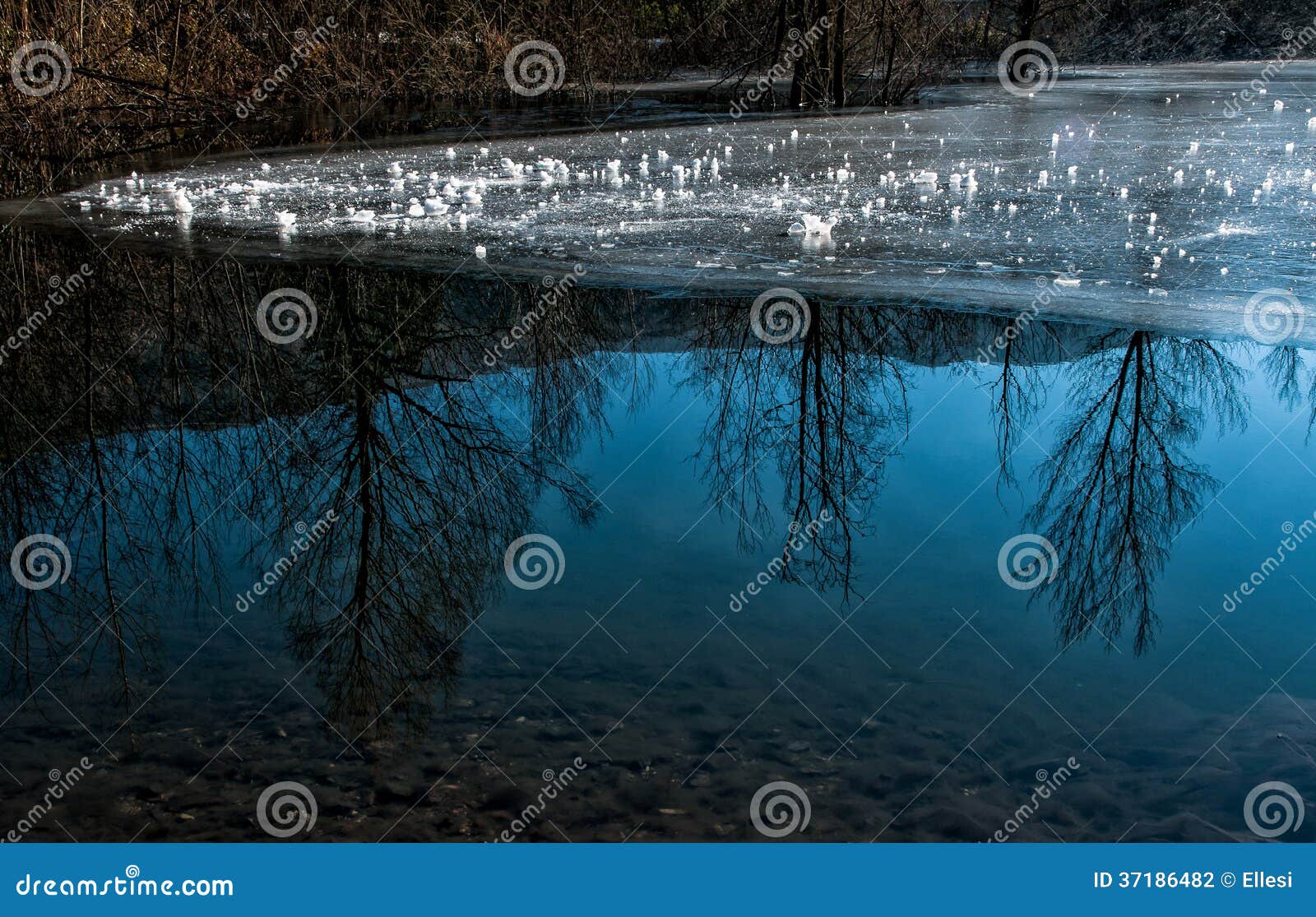 Winter lake reflections stock photo. Image of rough, background - 37186482