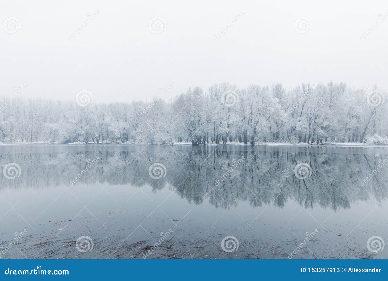 Winter Lake Scene Reflecting in the Water Stock Image - Image of frozen ...
