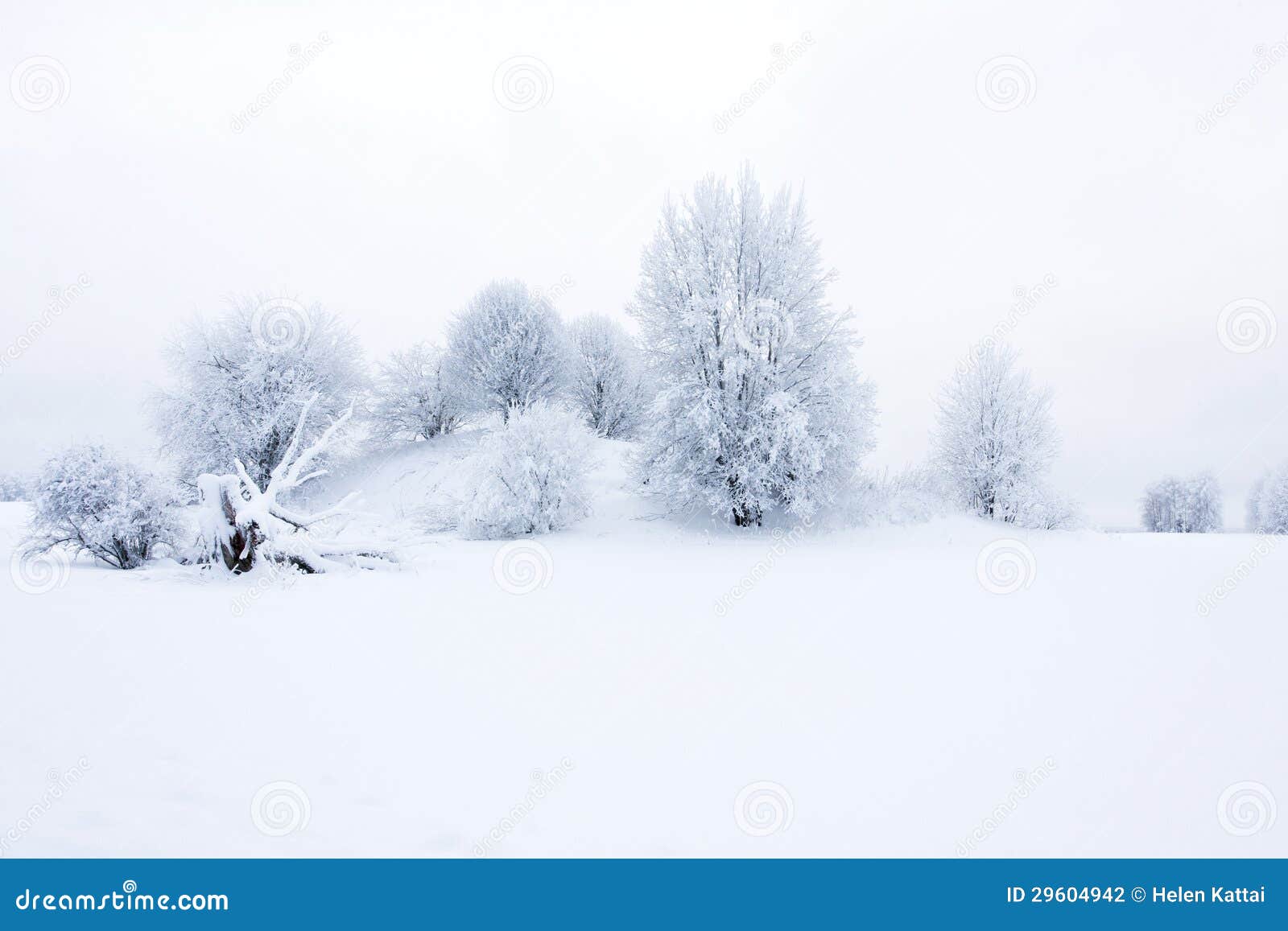 Winter land stock photo. Image of season, frost, cold - 29604942