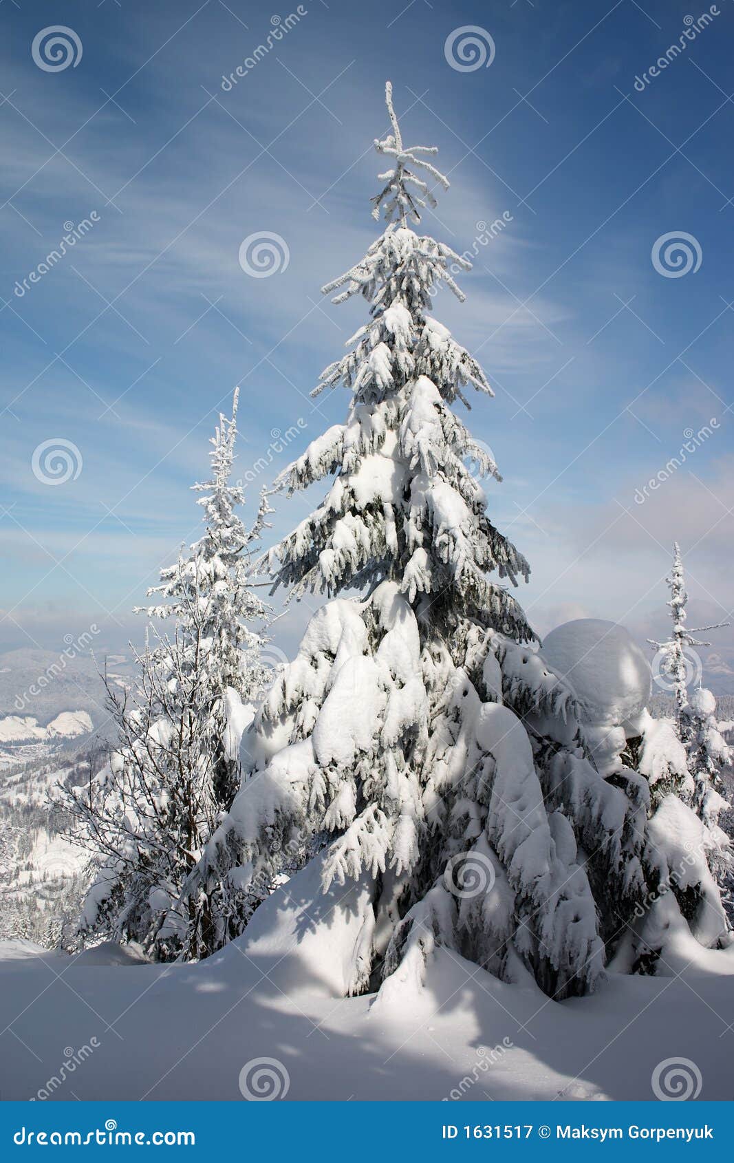 Winter land and trees stock image. Image of cold, seasonal - 1631517