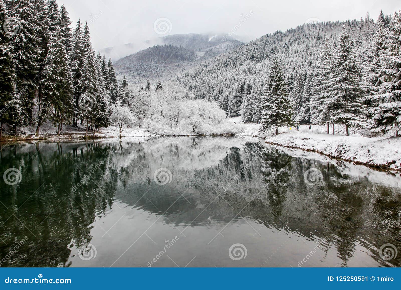 Winter Land with Water and Snow Stock Image - Image of snow, nature ...