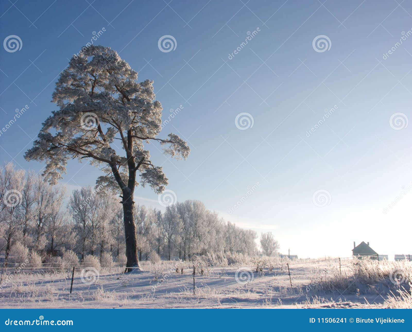 Winter landscape stock image. Image of chill, field, scenery - 11506241