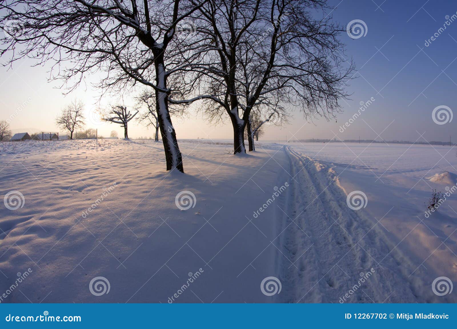 Winter landscape stock photo. Image of horizontal, nature - 12267702