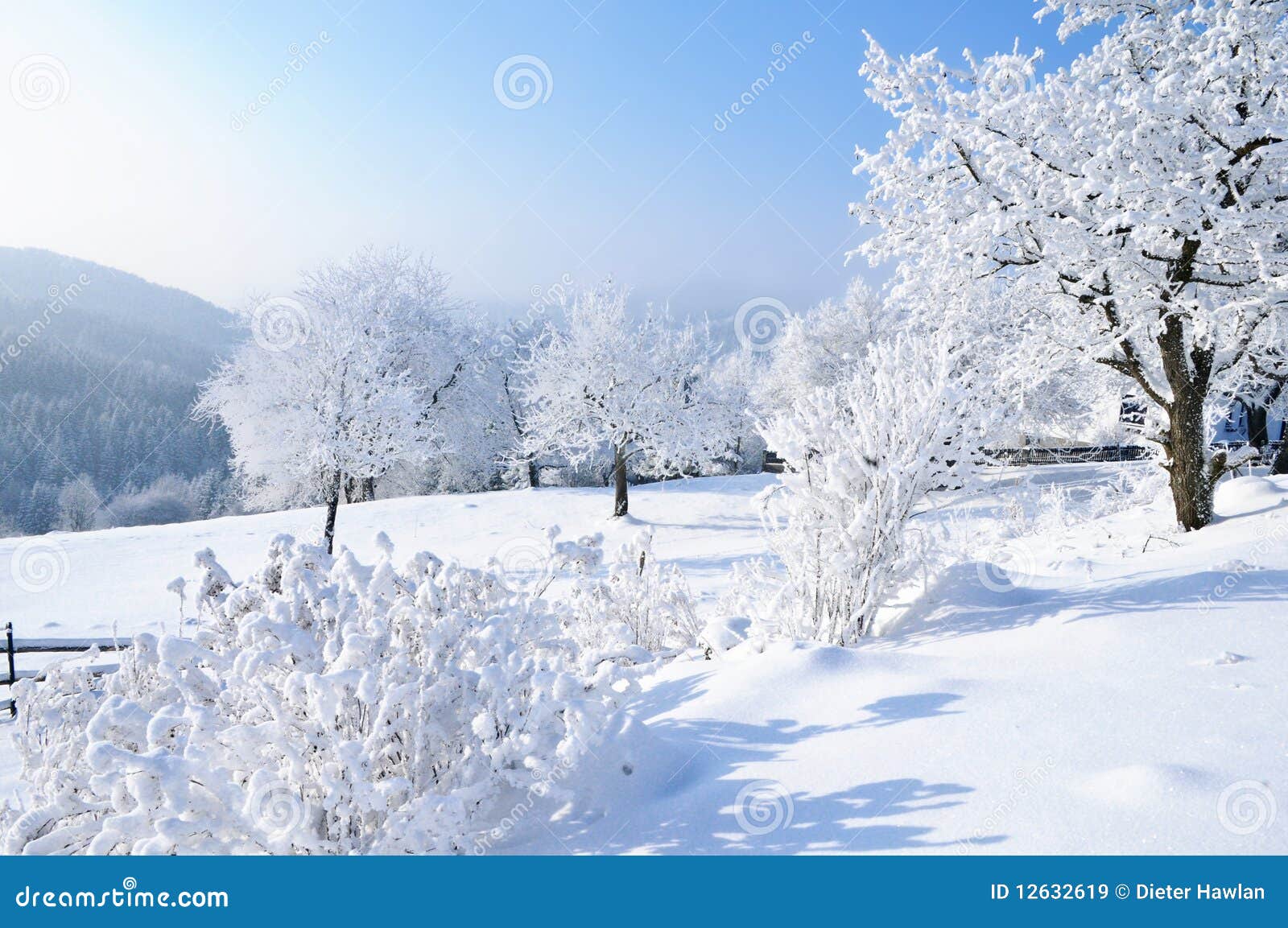 Winter Landscape stock image. Image of rural, frost, farm - 12632619