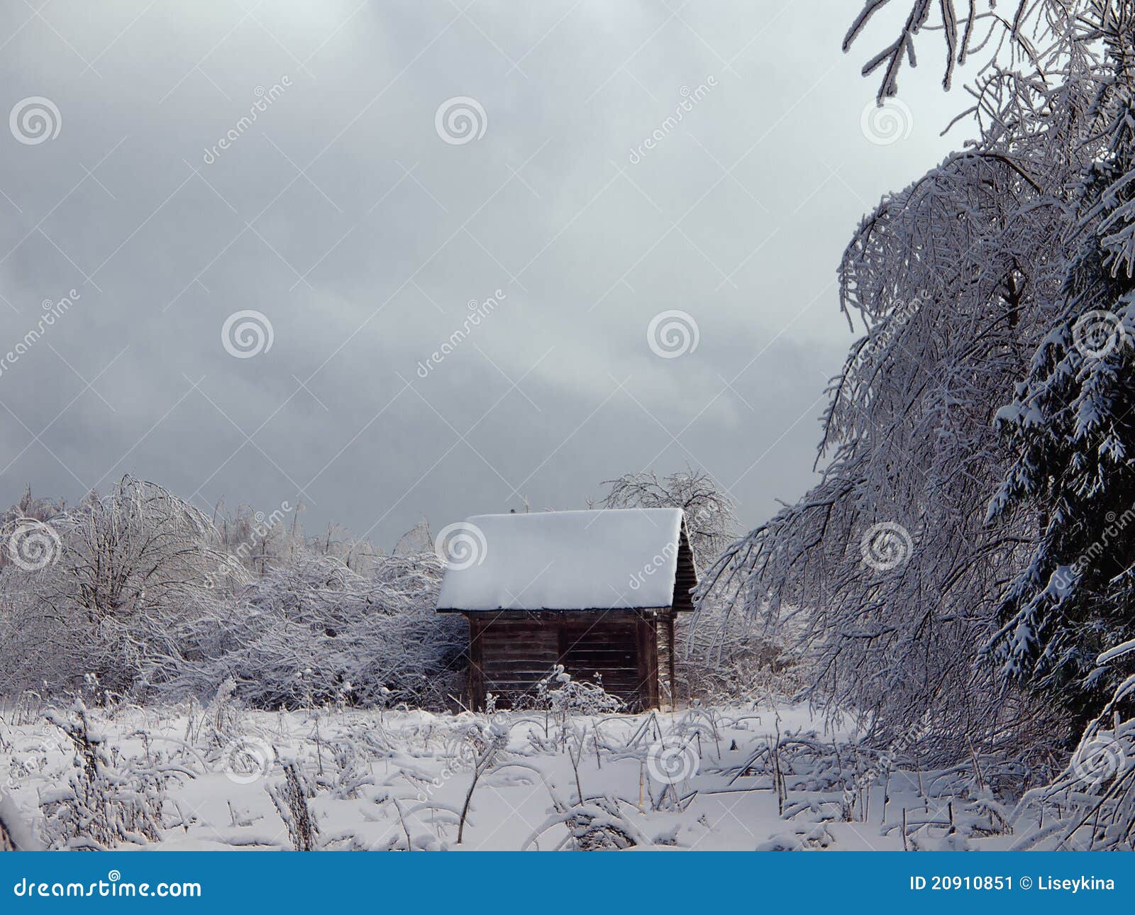 Winter landscape stock image. Image of field, countryside - 20910851