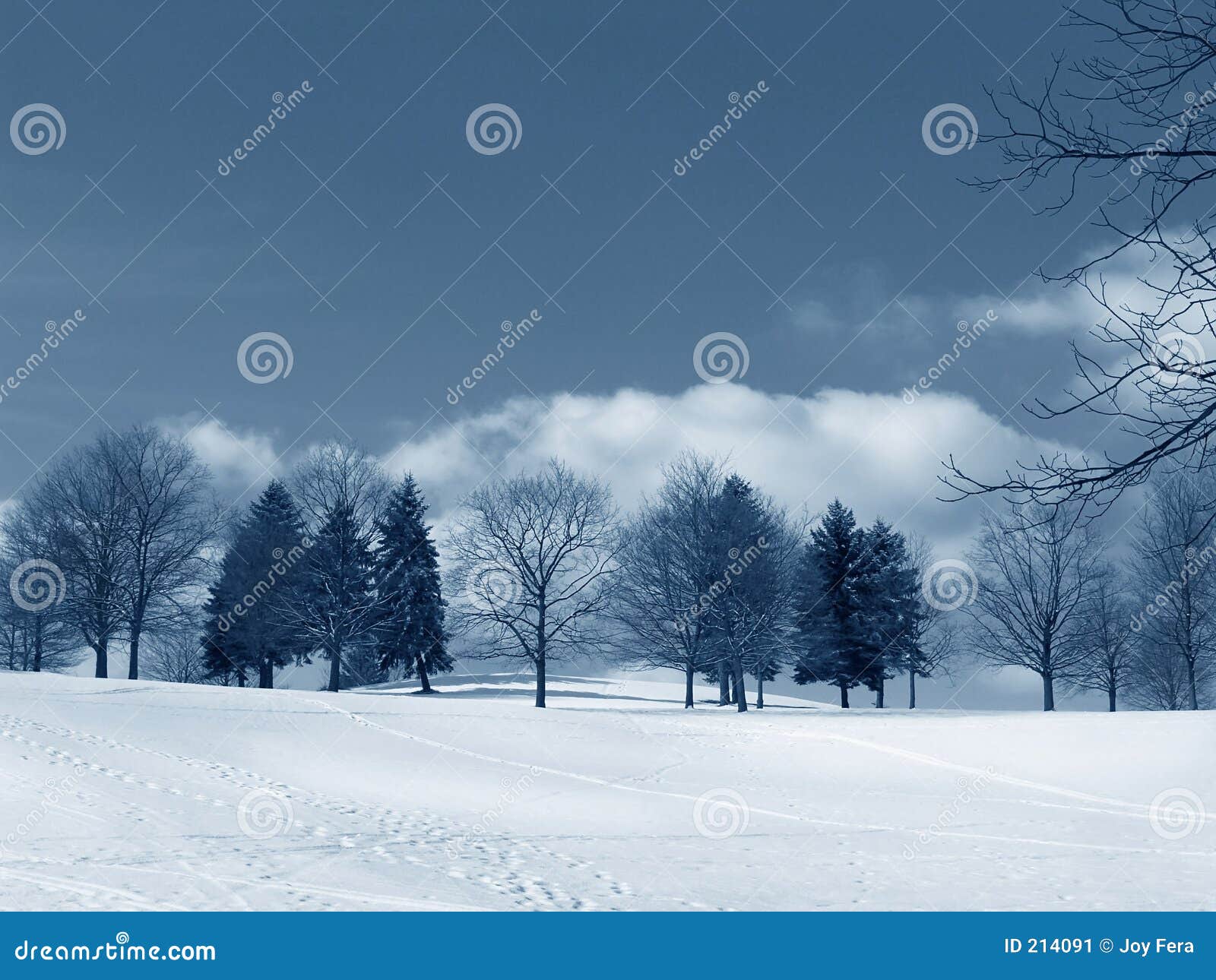 Winter Landscape stock image. Image of january, blue, seasons - 214091