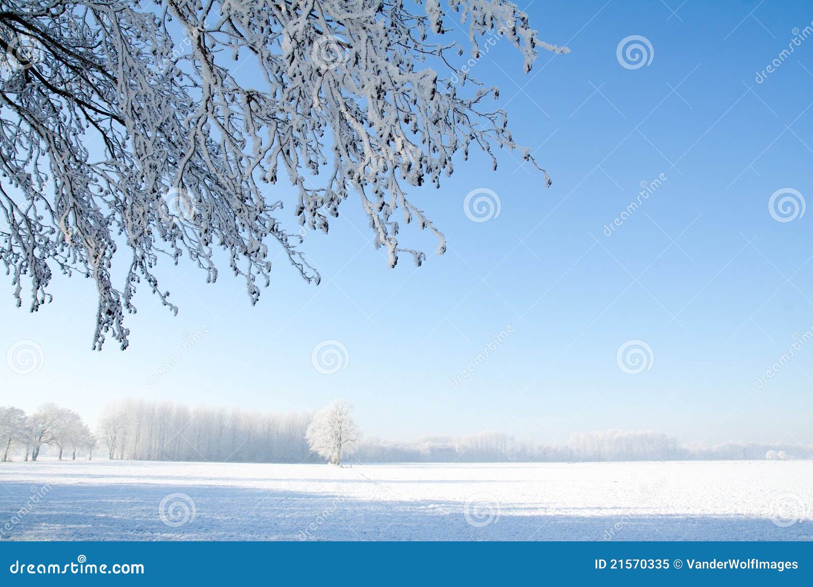 Winter landscape stock image. Image of light, forest - 21570335