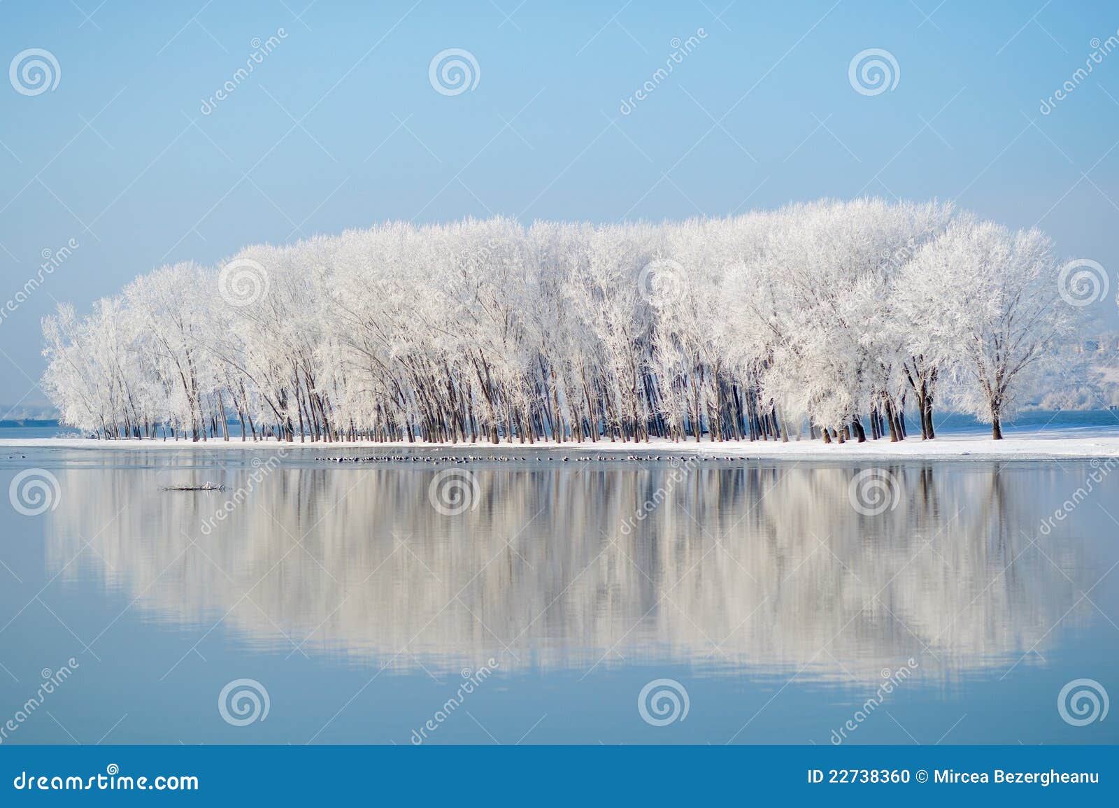 Winter landscape stock photo. Image of forest, calm, tranquil - 22738360