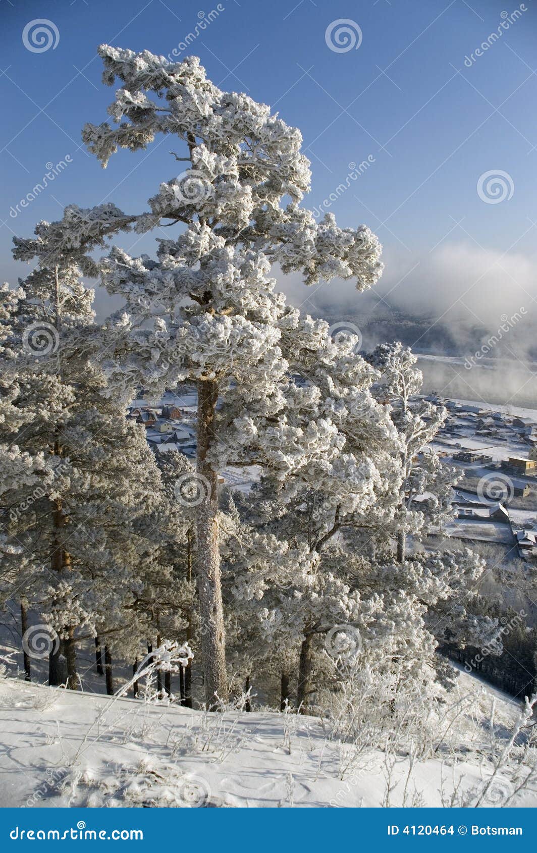 Winter landscape stock photo. Image of frost, cold, january - 4120464