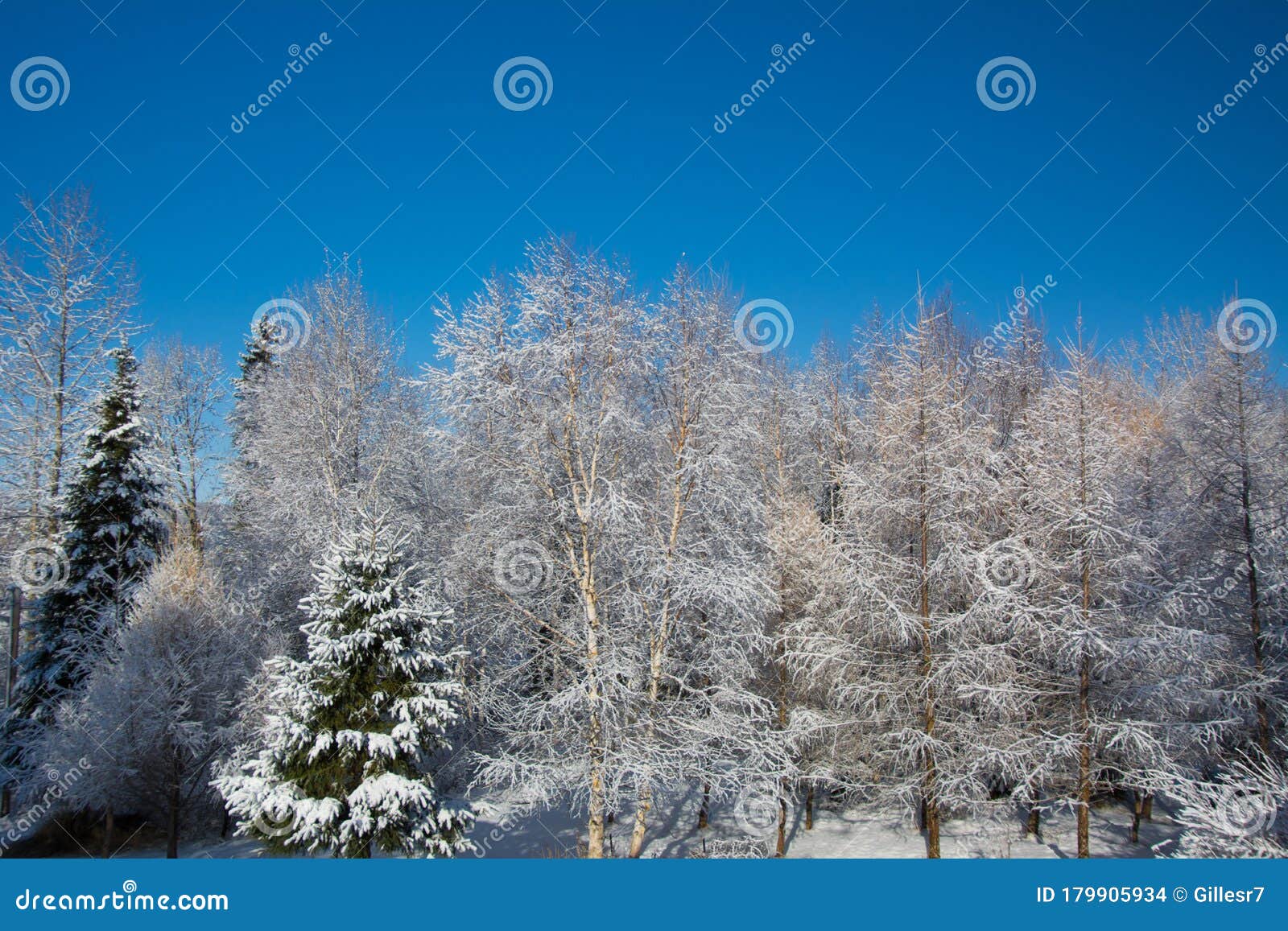 Winter Landscape in the Aftermath of a Spring Snowfall Stock Photo ...