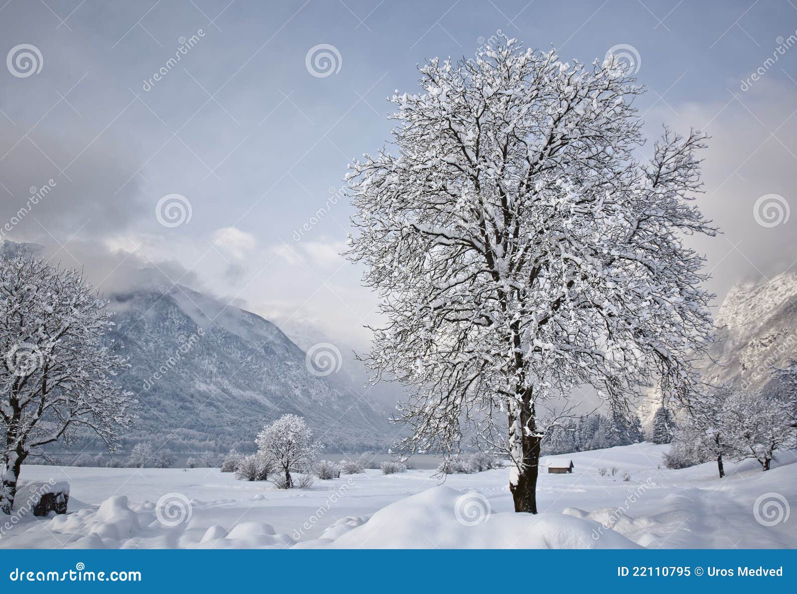 Winter landscape in alps stock image. Image of outdoor - 22110795
