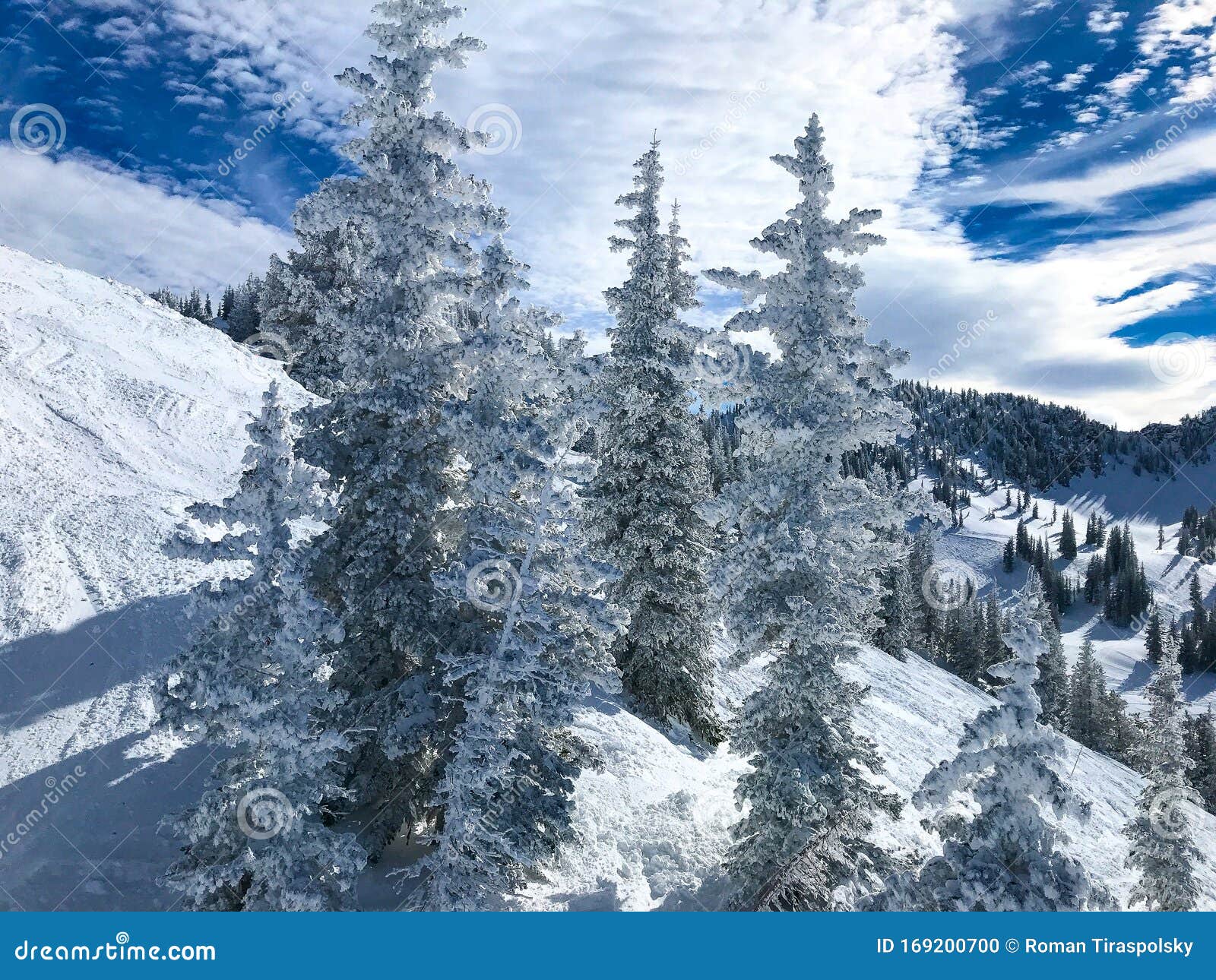Winter Landscape. Alta Ski Resort. Stock Photo - Image of vacation ...