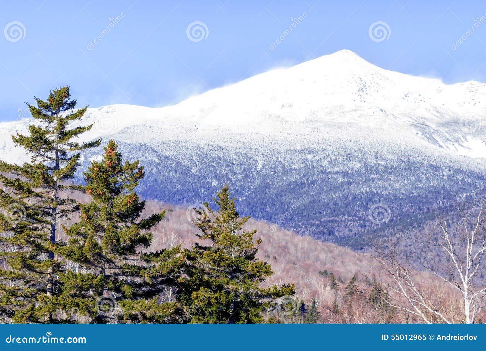 384,500 White Winter Natural Landscape Stock Photos - Free & Royalty ...