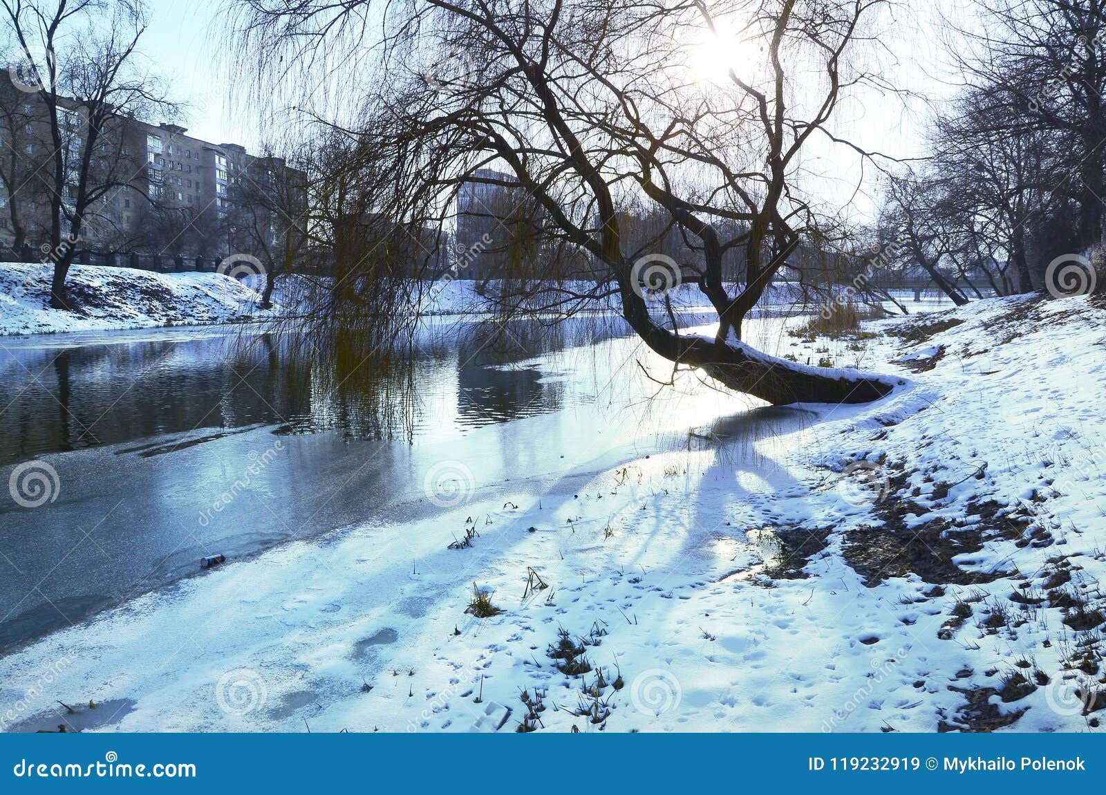 Winter Landscape with a Big Tree by the River Stock Image - Image of ...