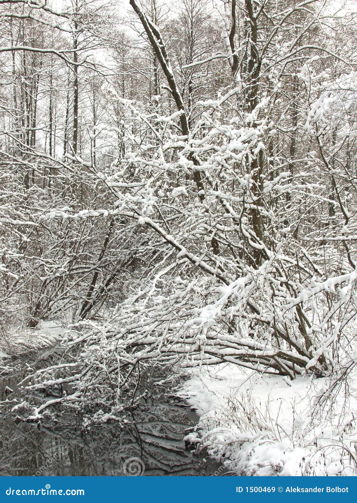 Winter Landscape after Blizzard Stock Image - Image of forest, mystical ...