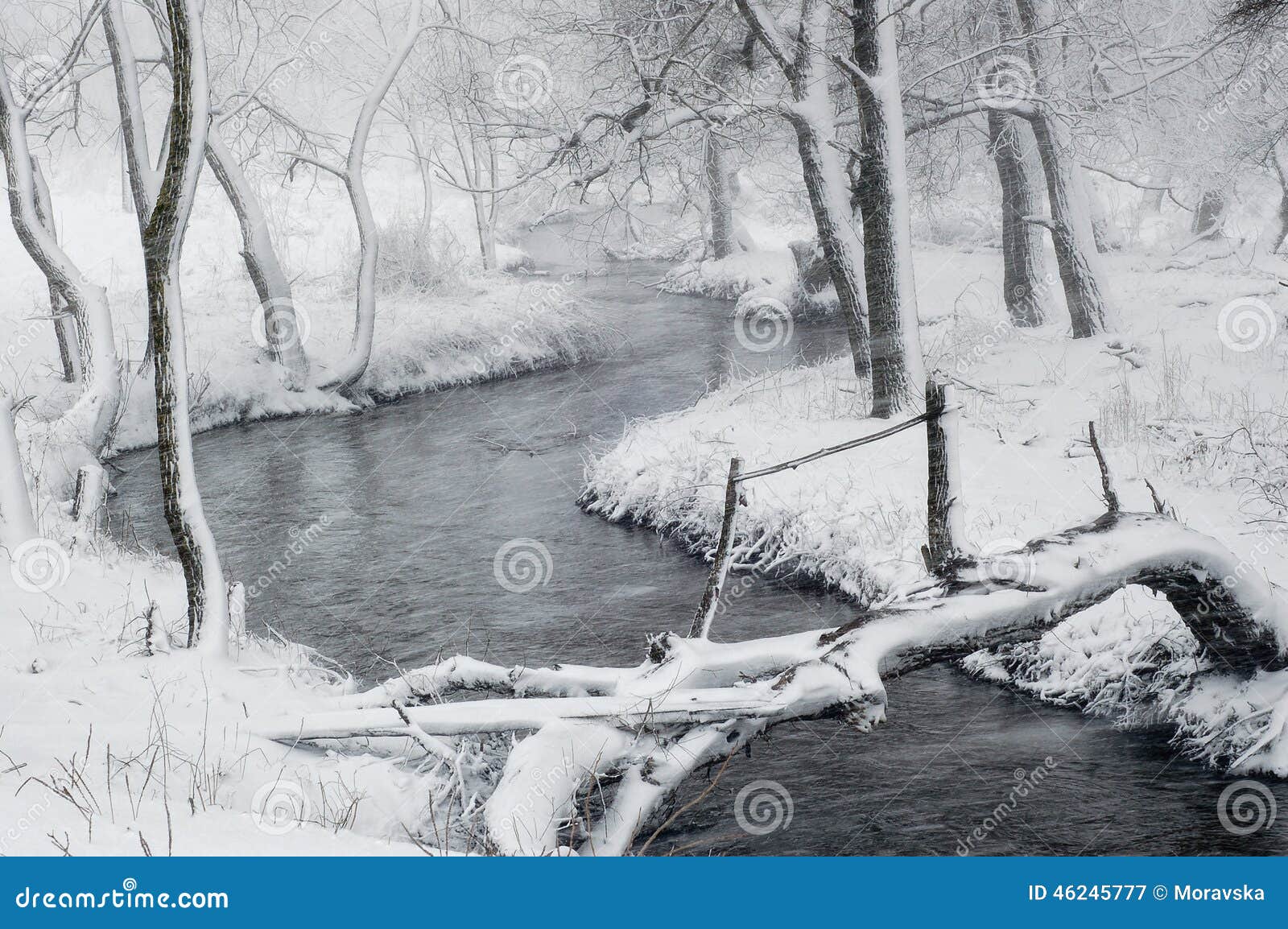 Winter Landscape with Blizzard in the Forest Stock Image - Image of ...