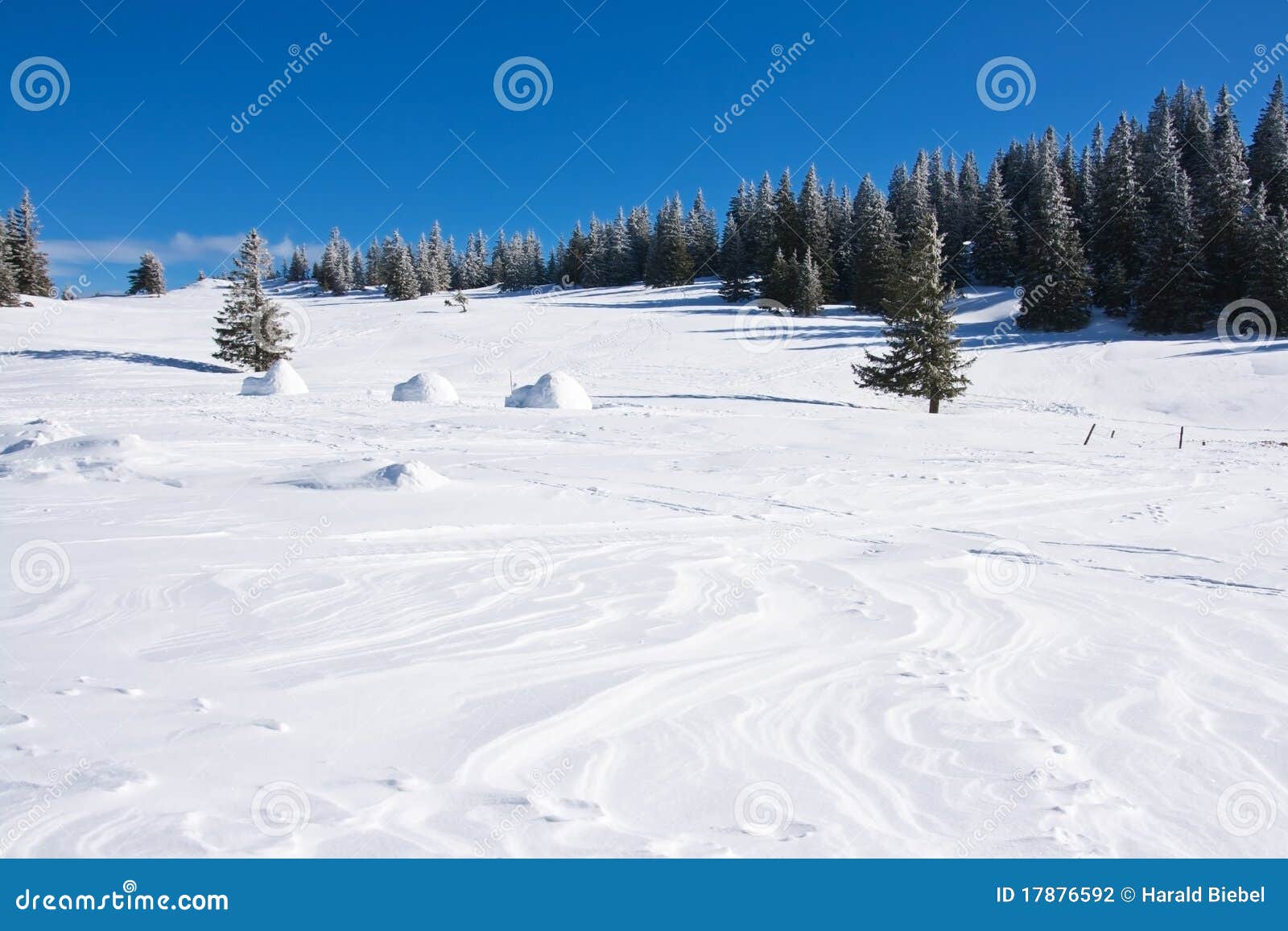 Winter Landscape with Blue Sky Stock Photo - Image of frosty, walking ...