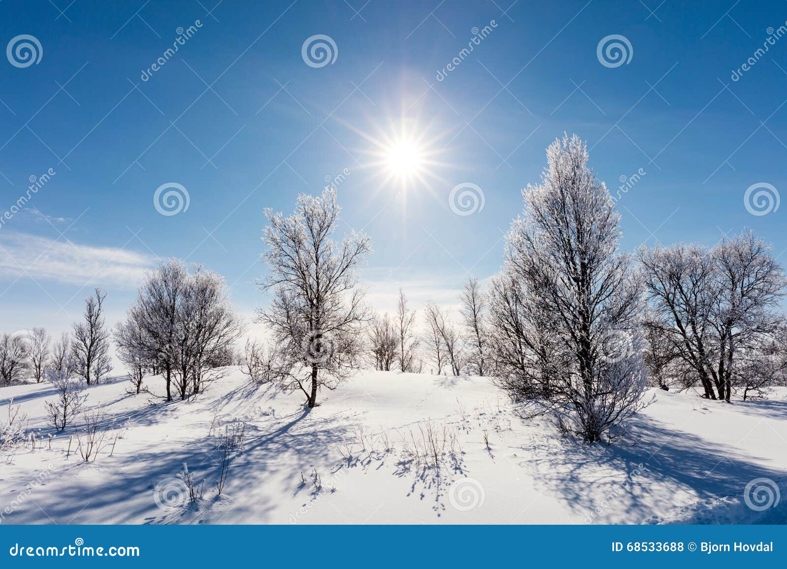 Winter landscape stock photo. Image of christmas, great - 68533688