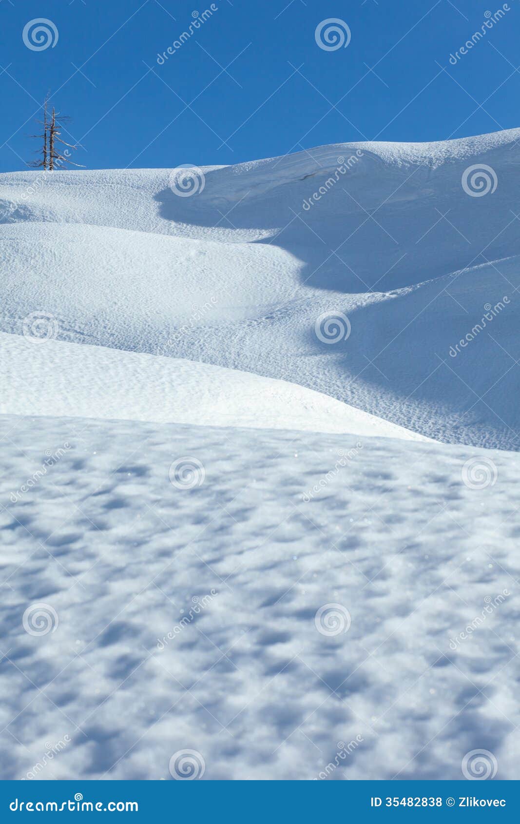 Winter Landscape and Blue Sky Stock Photo - Image of clean, white: 35482838