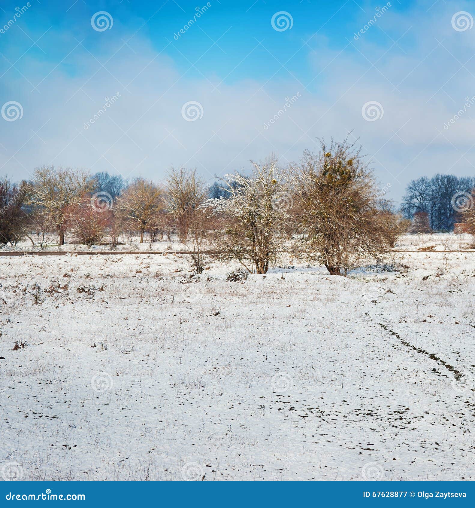 Winter Landscape with Blue Sky. Stock Image - Image of postcard ...