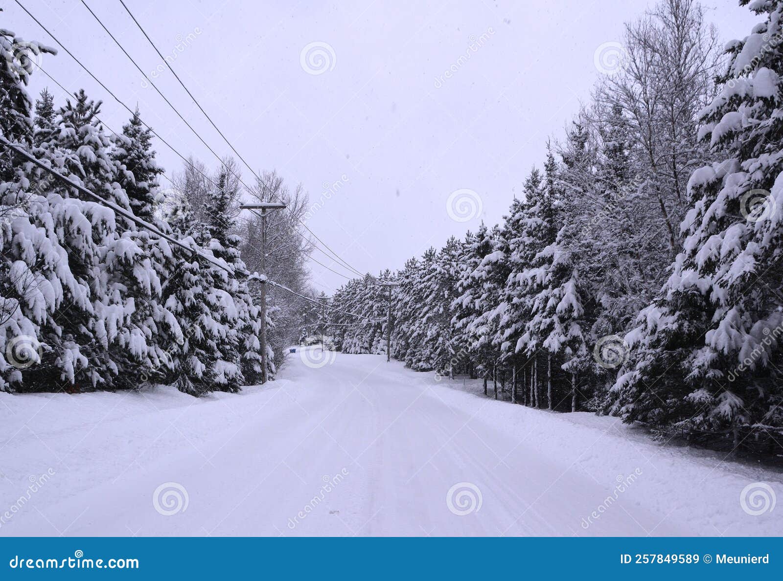 Winter Landscape Bromont Shefford Quebec Stock Image - Image of ...