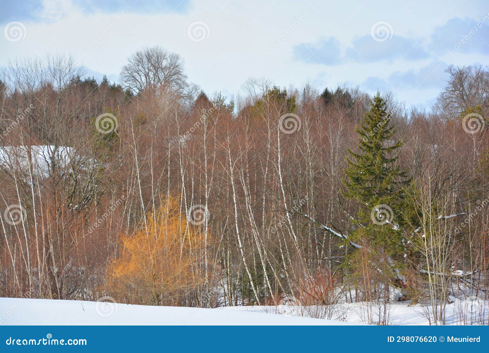 Winter Landscape Bromont Shefford Stock Photo - Image of background ...