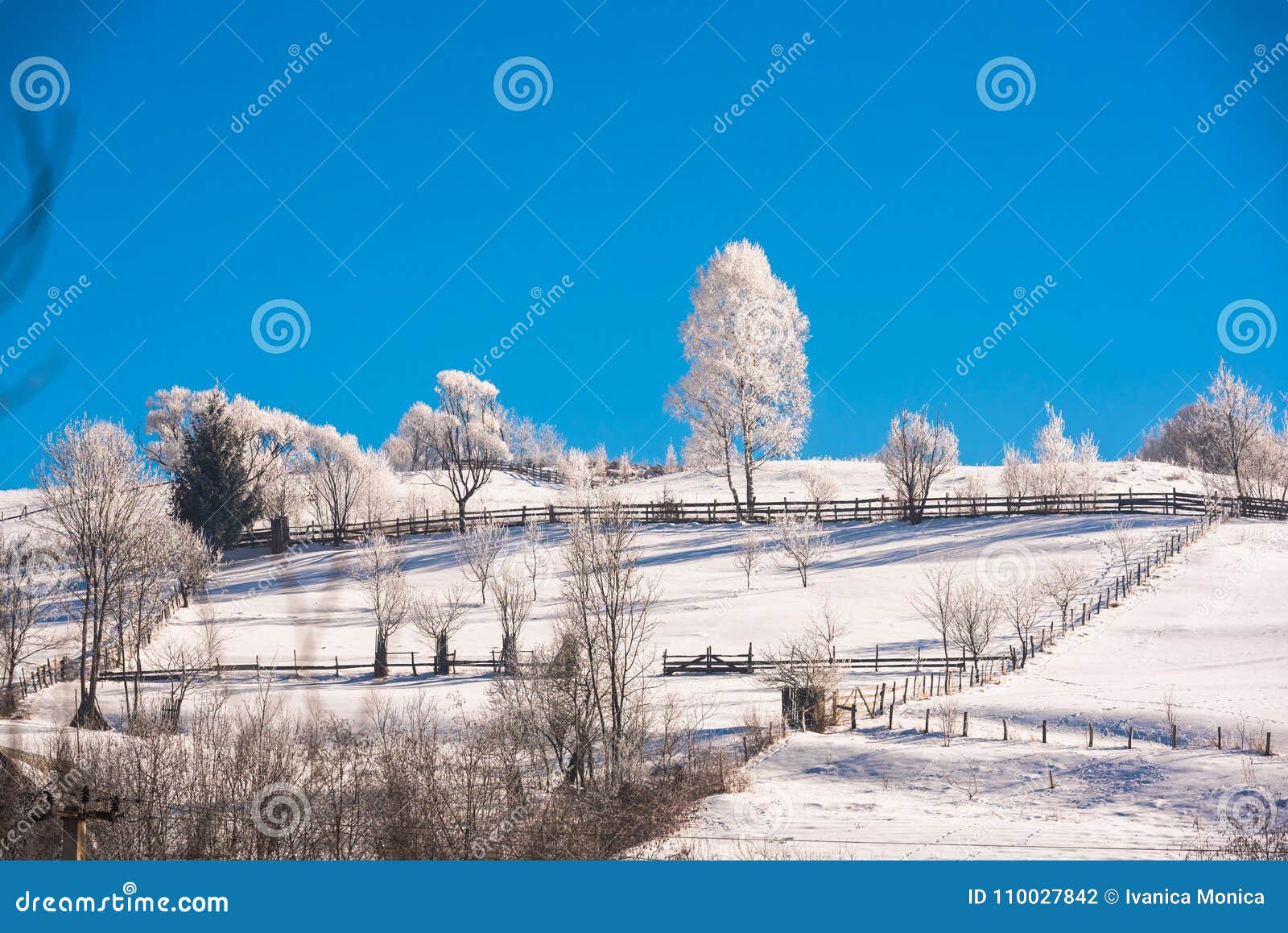 Winter Landscape in the Cold Winter Romania Stock Photo - Image of ...