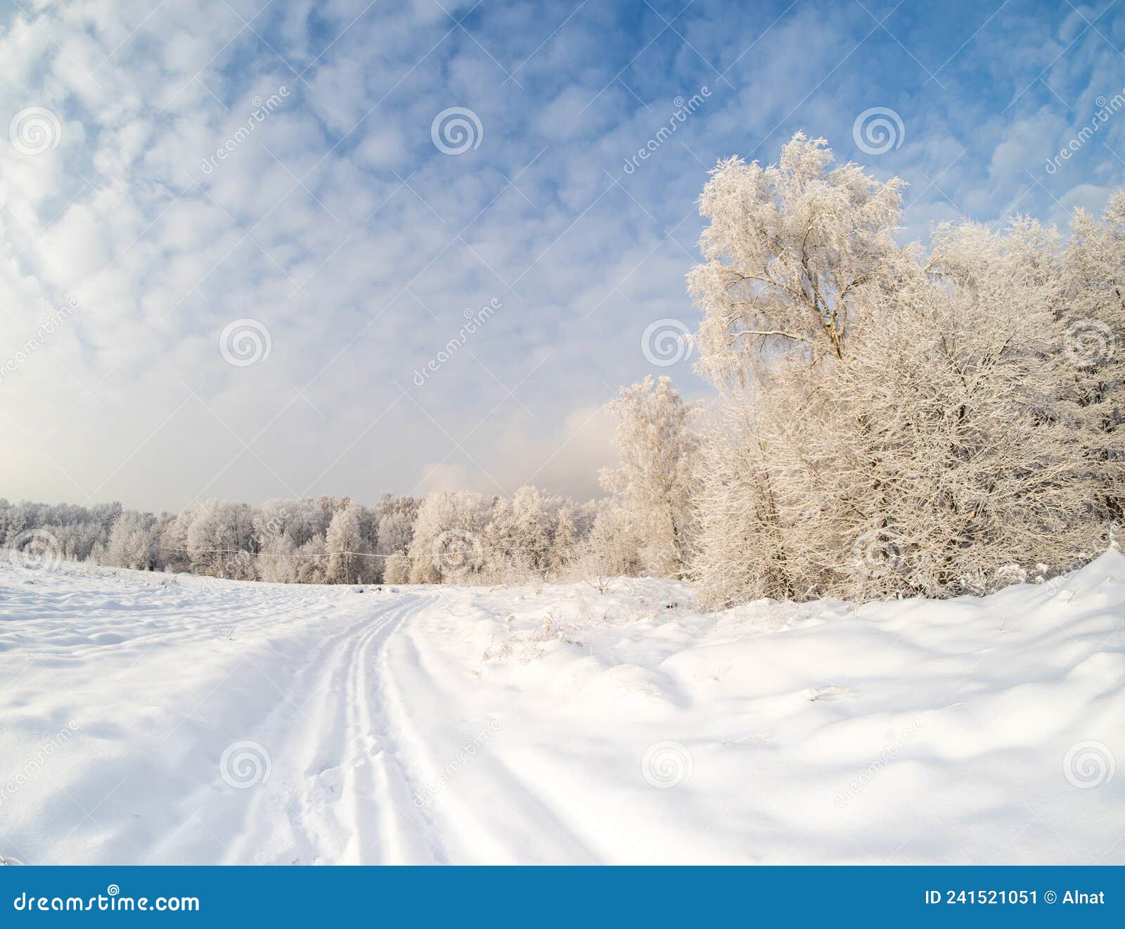 Winter Landscape in the Country on a Cold Sunny Day Stock Image - Image ...
