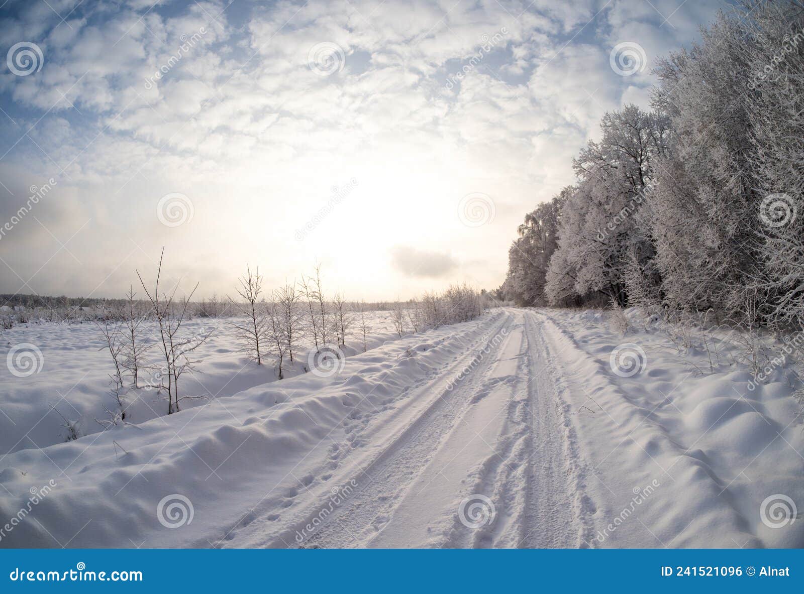 Winter Landscape in the Country on a Cold Sunny Day Stock Photo - Image ...