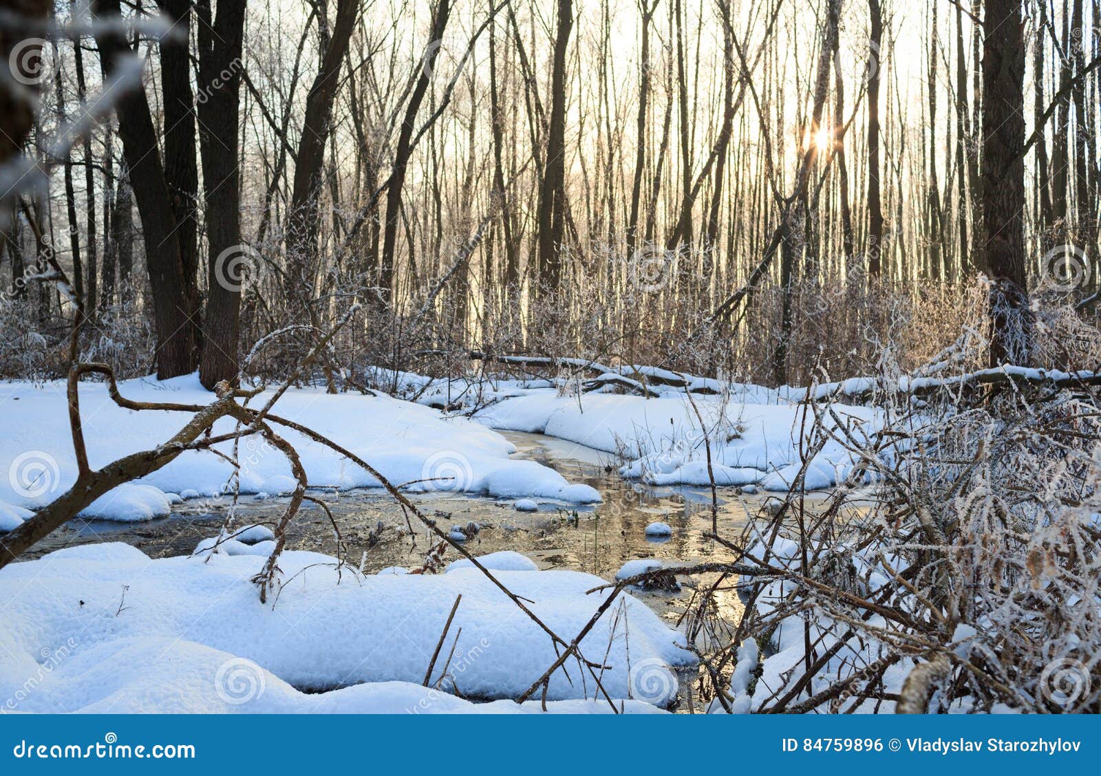 Winter Landscape with Creek in Forest Stock Photo - Image of branches ...