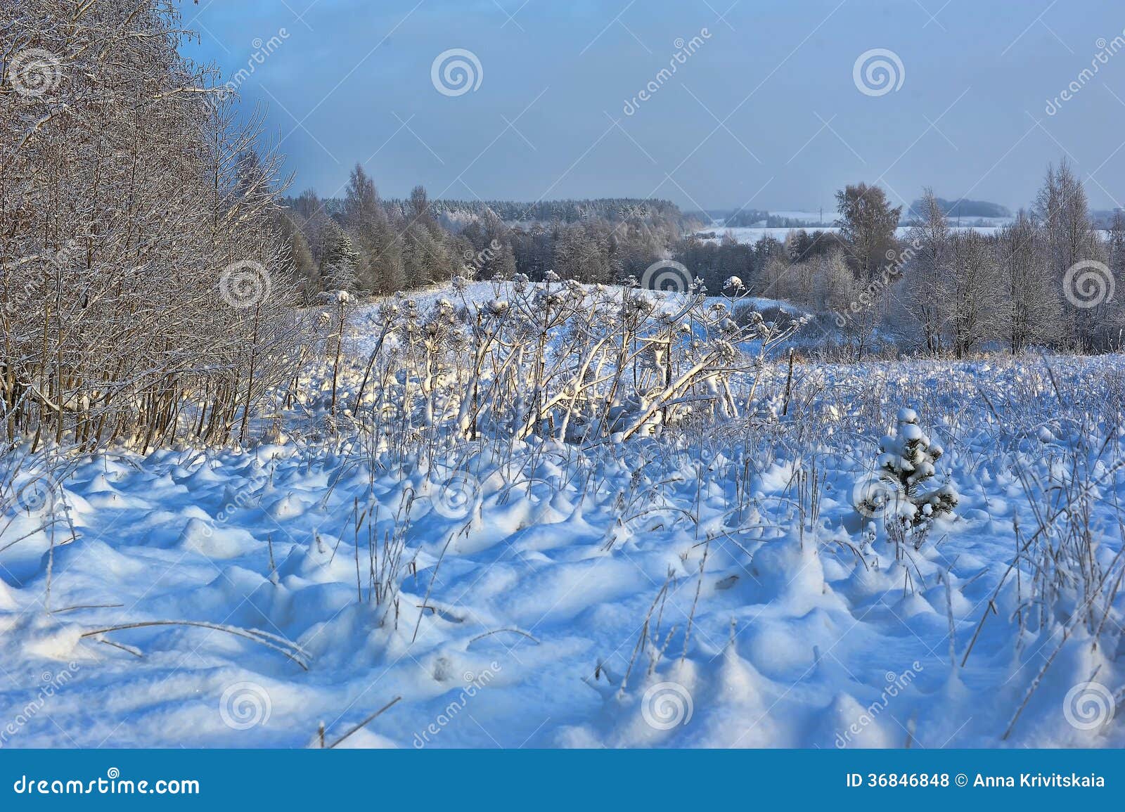 Winter landscape stock photo. Image of hill, knoll, covered - 36846848