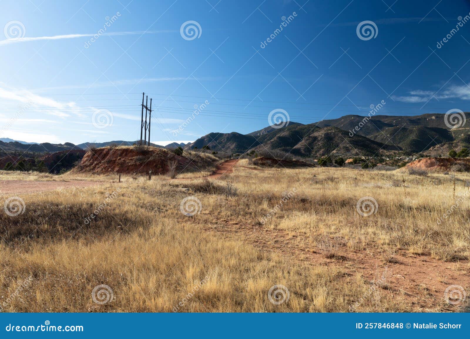 Winter Landscape of Dried Grasses on an Open Plain, Low Mountains with ...