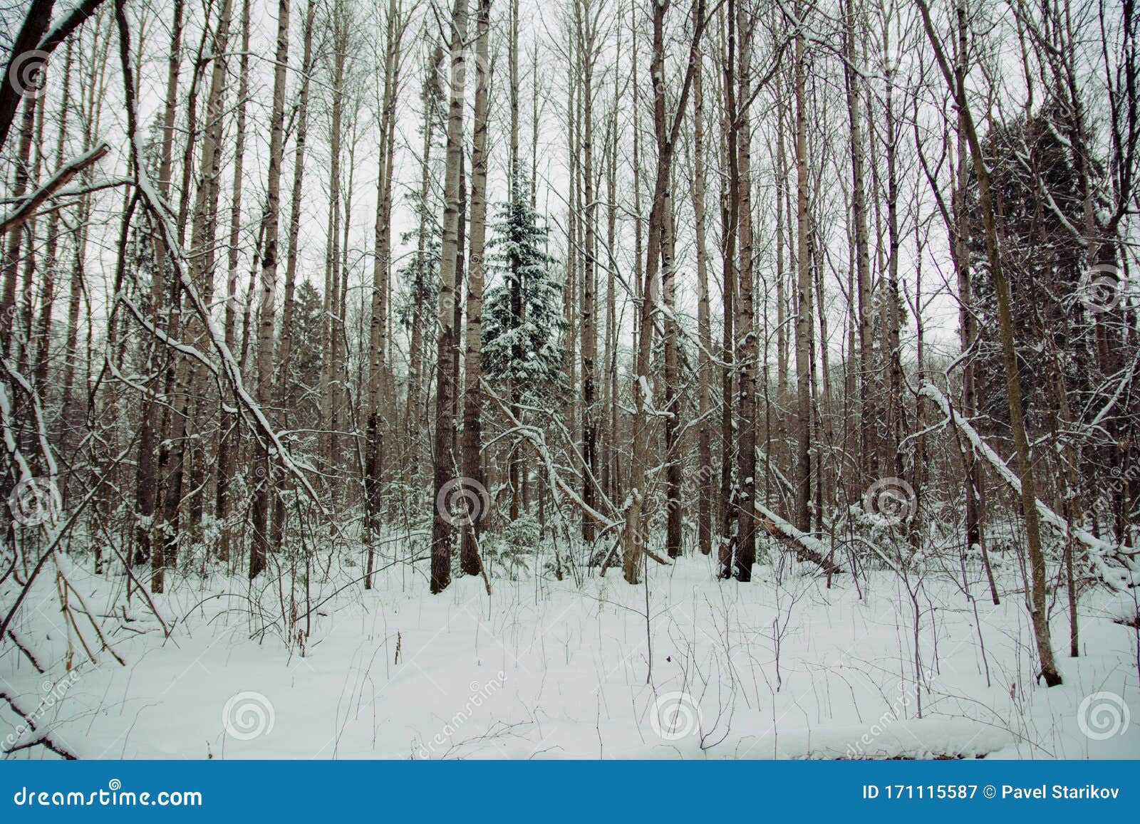 Winter Landscape Eastern Europe Stock Image - Image of europe, season ...