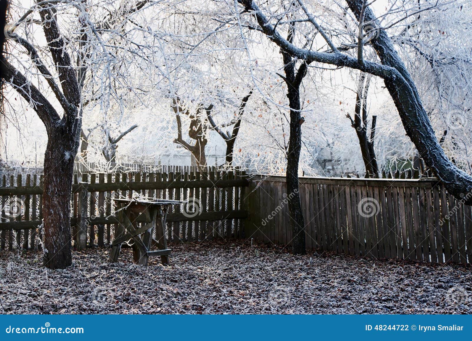 Winter landscape stock photo. Image of holiday, nature - 48244722
