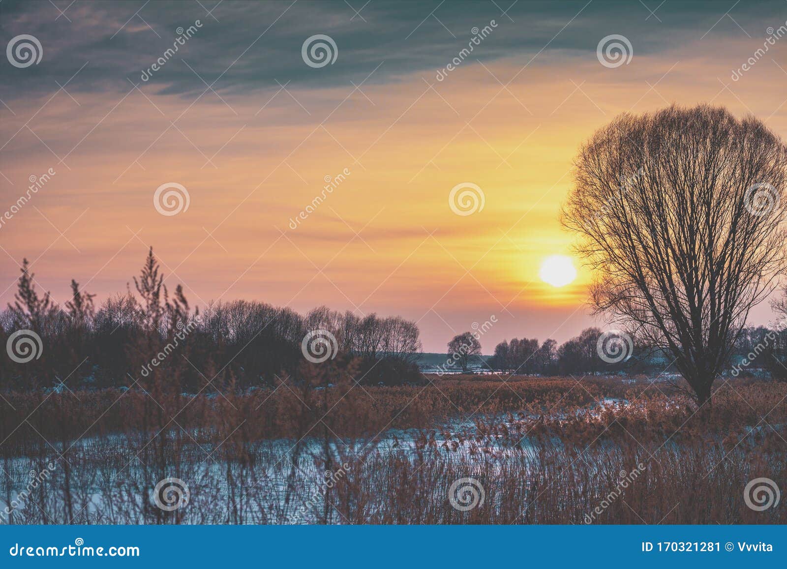 Winter Landscape in the Evening Stock Image - Image of sunrise, land ...