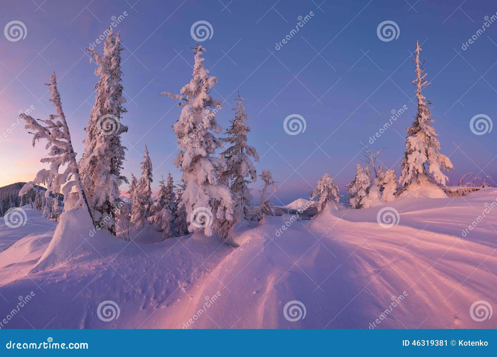 Winter Landscape in the Evening Stock Image - Image of hill, park: 46319381